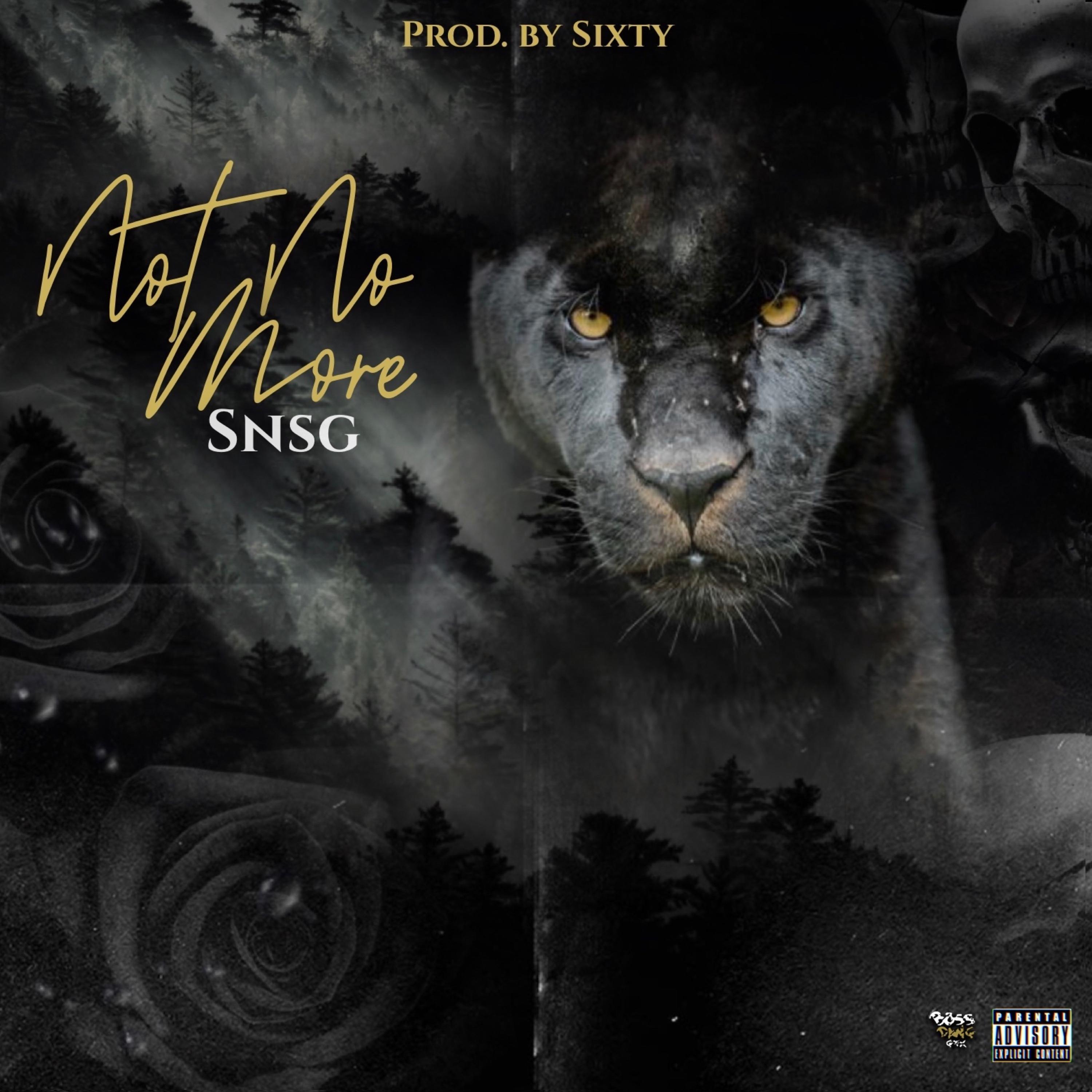 Not No More - SNSG - 专辑 - 网易云音乐