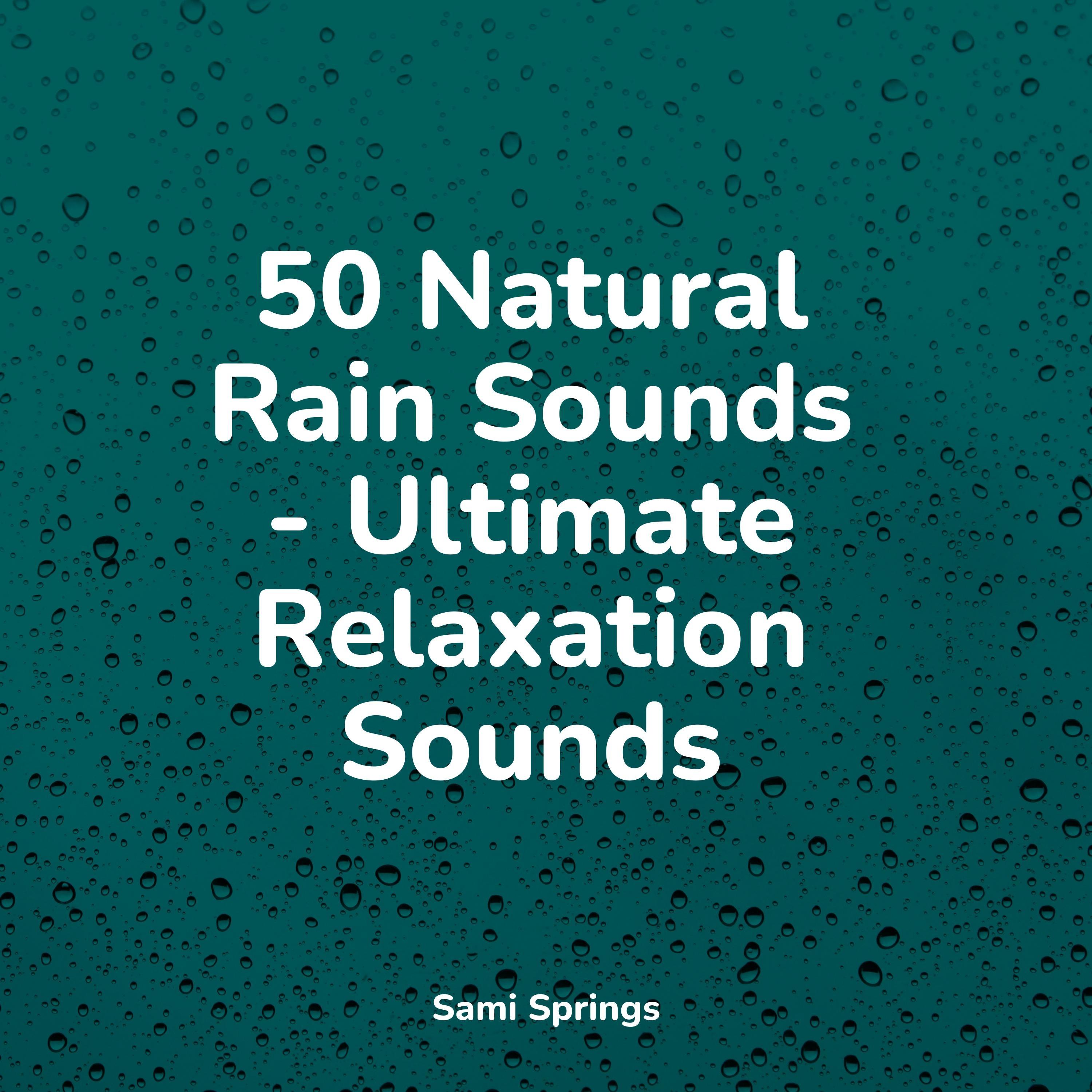 50 Natural Rain Sounds - Ultimate Relaxation Sounds - Yoga Sounds - 专辑 ...