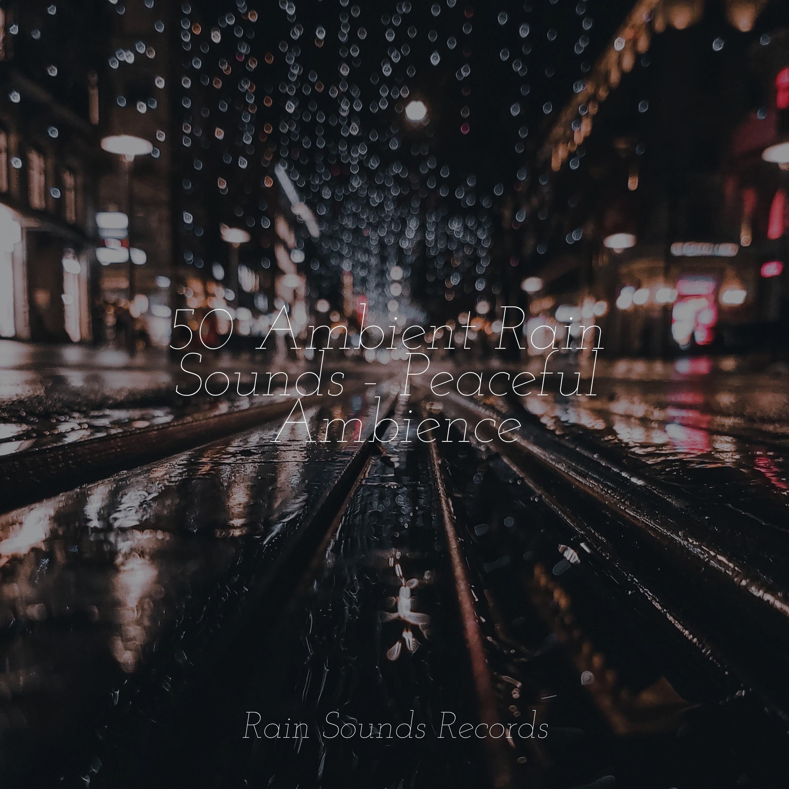 50 Ambient Rain Sounds - Peaceful Ambience - Canción de Cuna - 专辑 - 网易云音乐