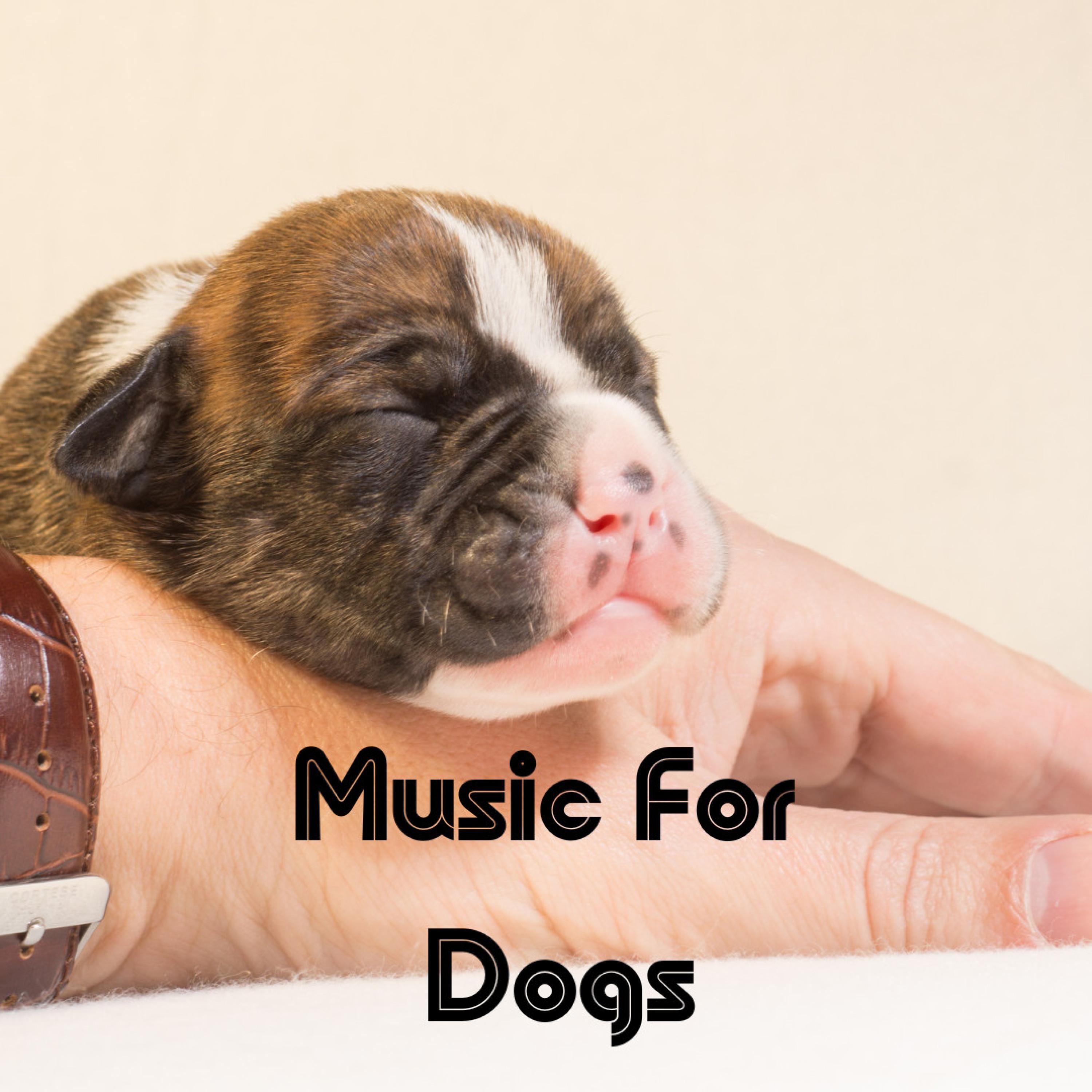 Sigh Of Relief - Music For Dogs/Music For Dogs Peace/Relaxing Puppy ...