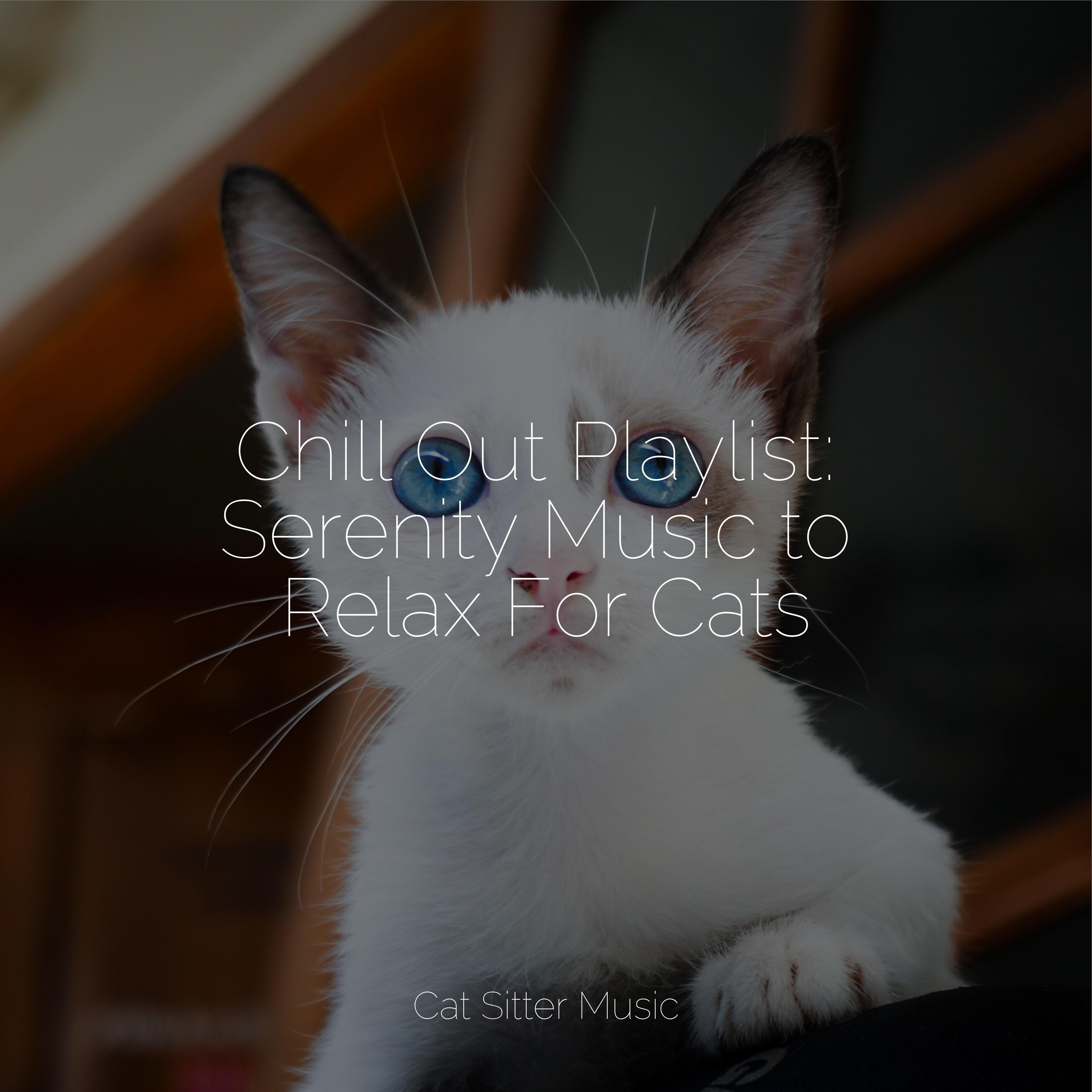 Chill Out Playlist: Serenity Music to Relax For Cats - Music for Pets ...