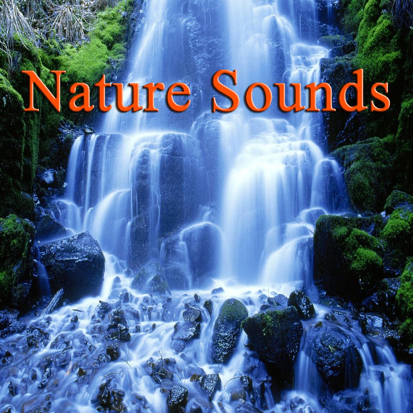 Nature Sounds - Natural Sounds - 专辑 - 网易云音乐