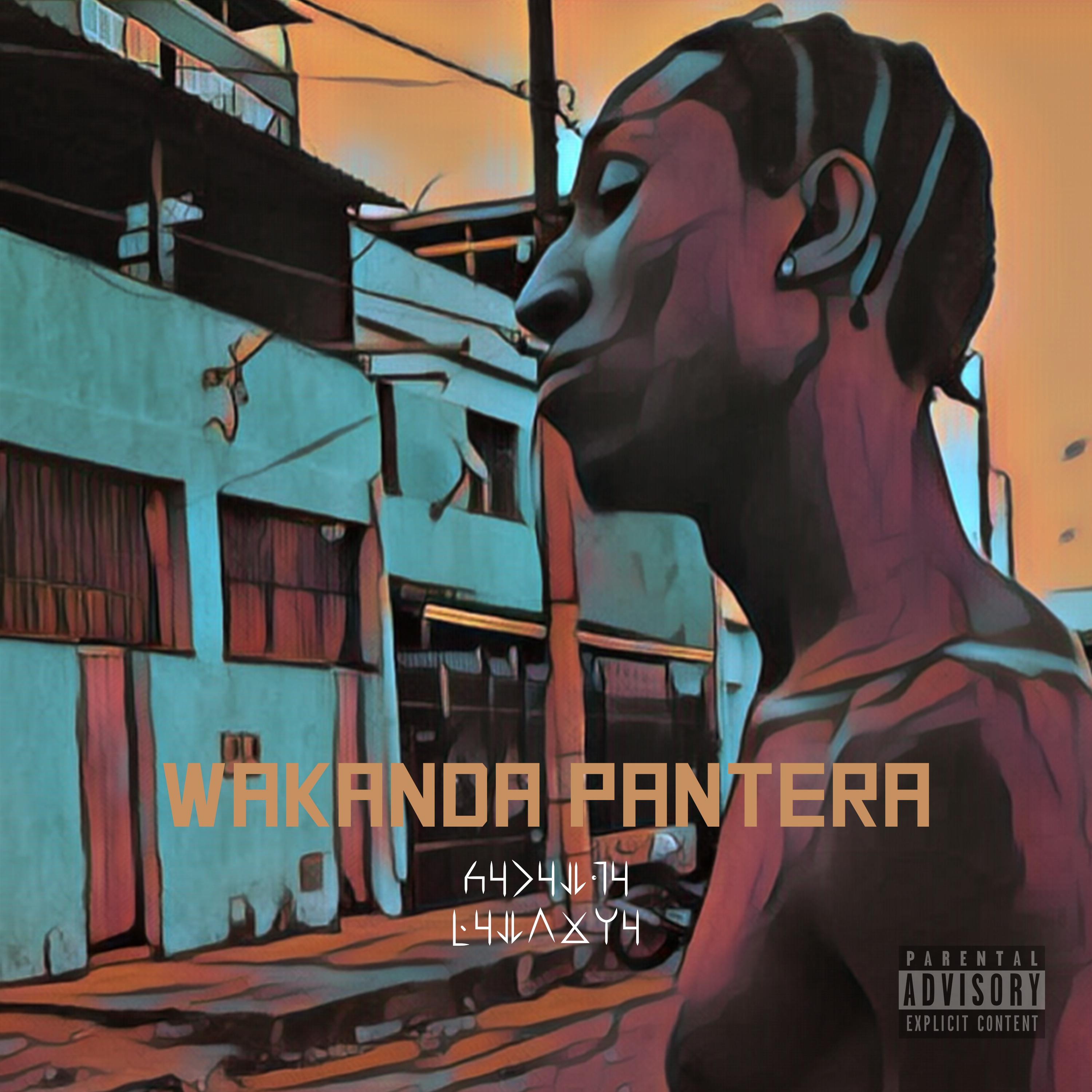 Wakanda Pantera - D'Raça - 专辑 - 网易云音乐