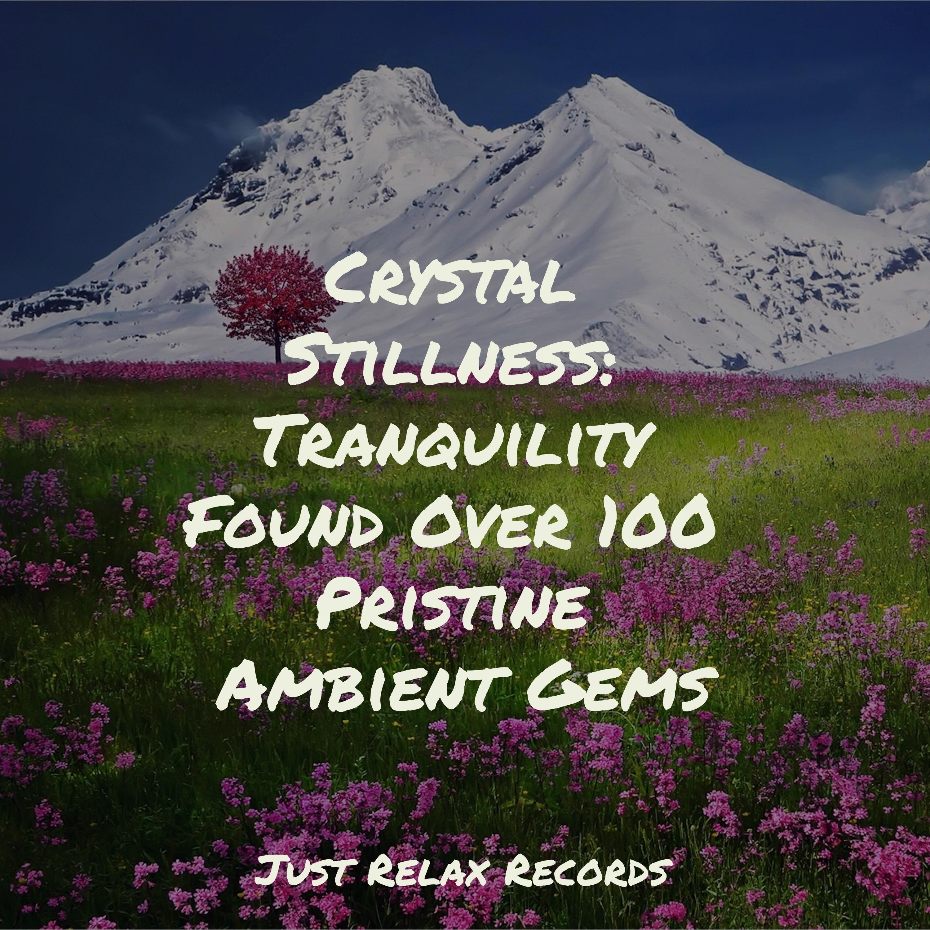 Crystal Stillness: Tranquility Found Over 100 Pristine Ambient Gems ...