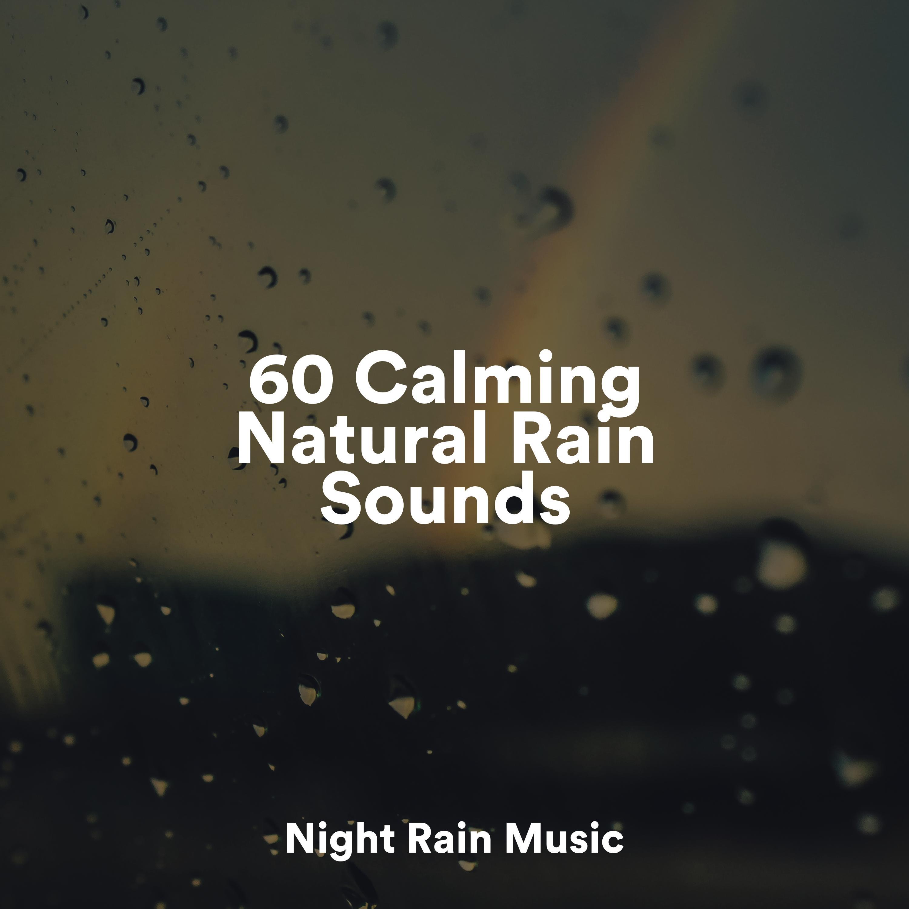 60 Calming Natural Rain Sounds - Sound of Rain - 专辑 - 网易云音乐