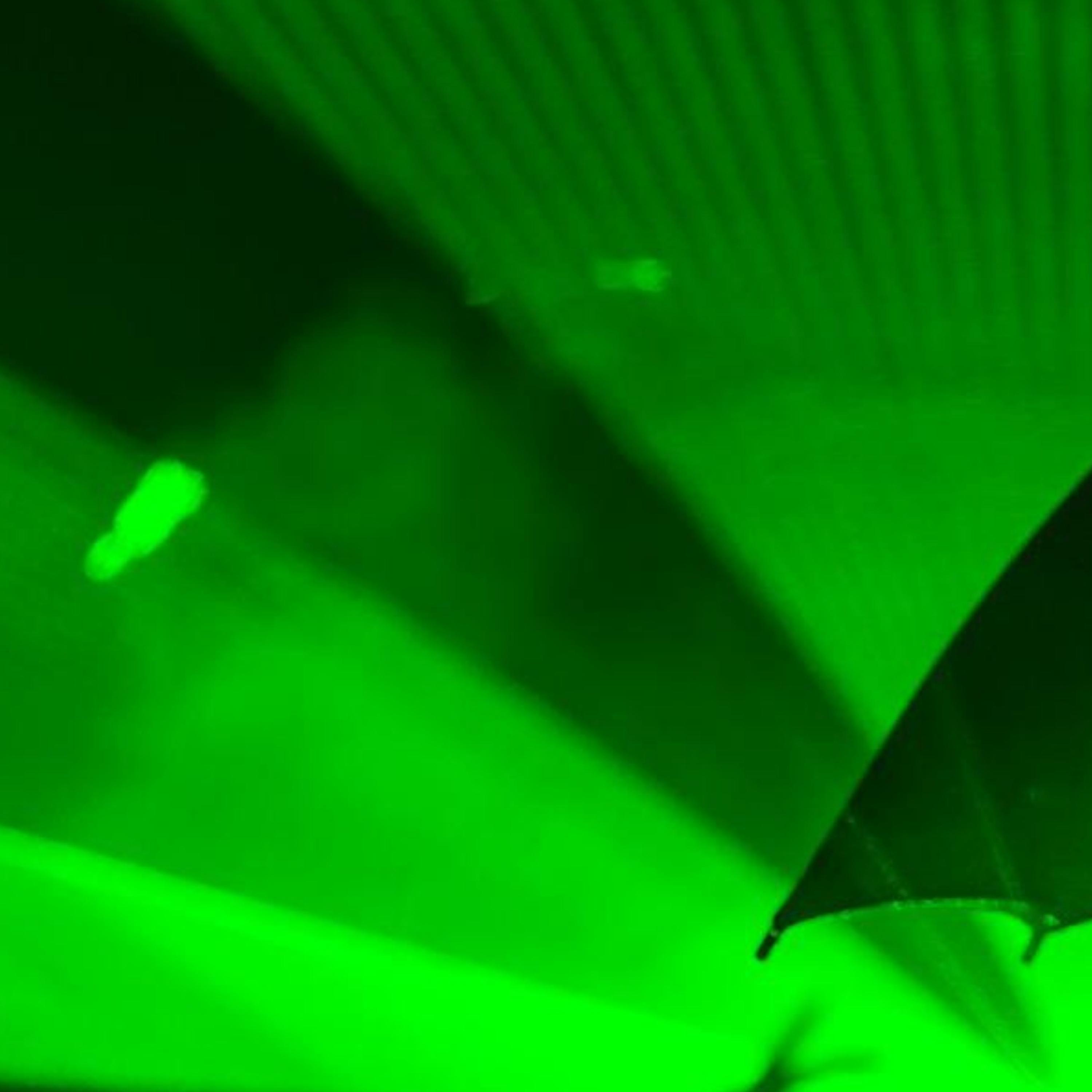 Green Lights - JX 9 - 单曲 - 网易云音乐