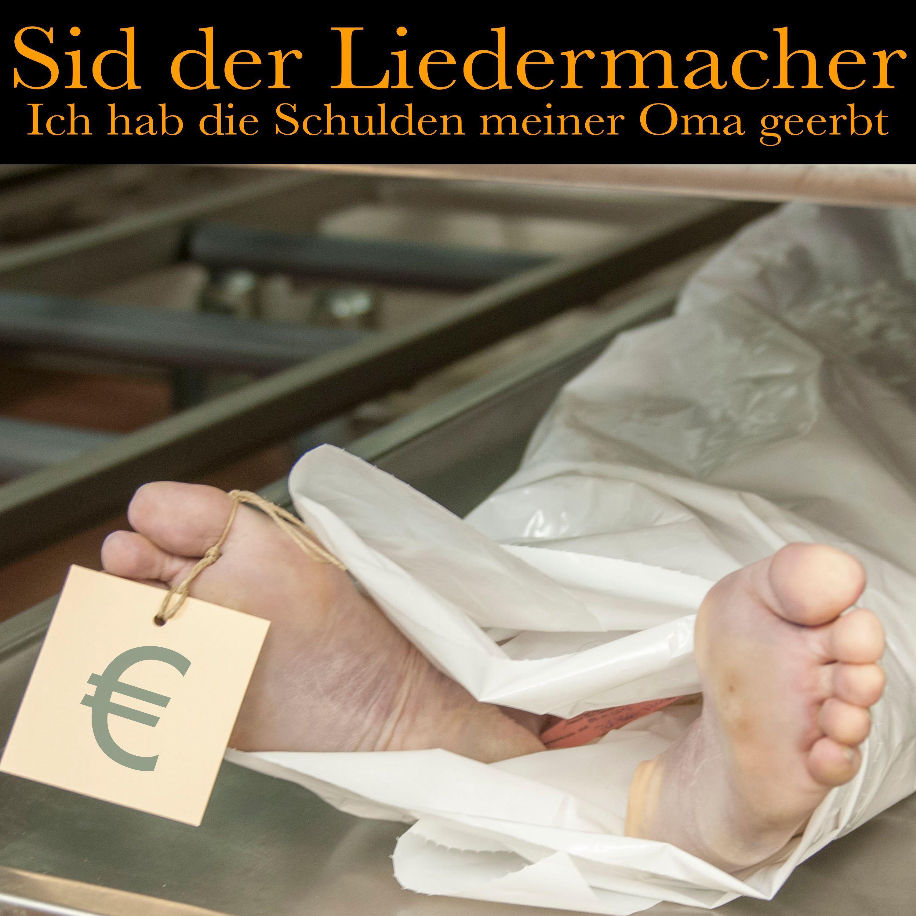 Ich hab die Schulden meiner Oma geerbt - Sid der Liedermacher - 单曲 - 网易云音乐