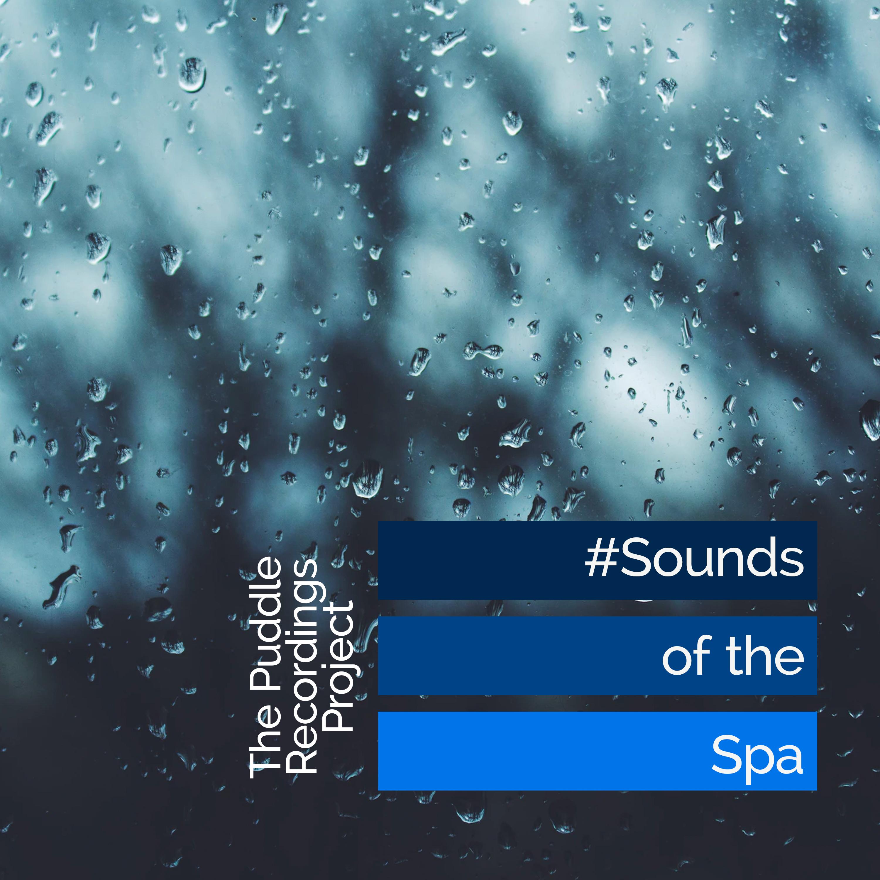 Windscreen Raindrops - The Puddle Recordings Project - 单曲 - 网易云音乐