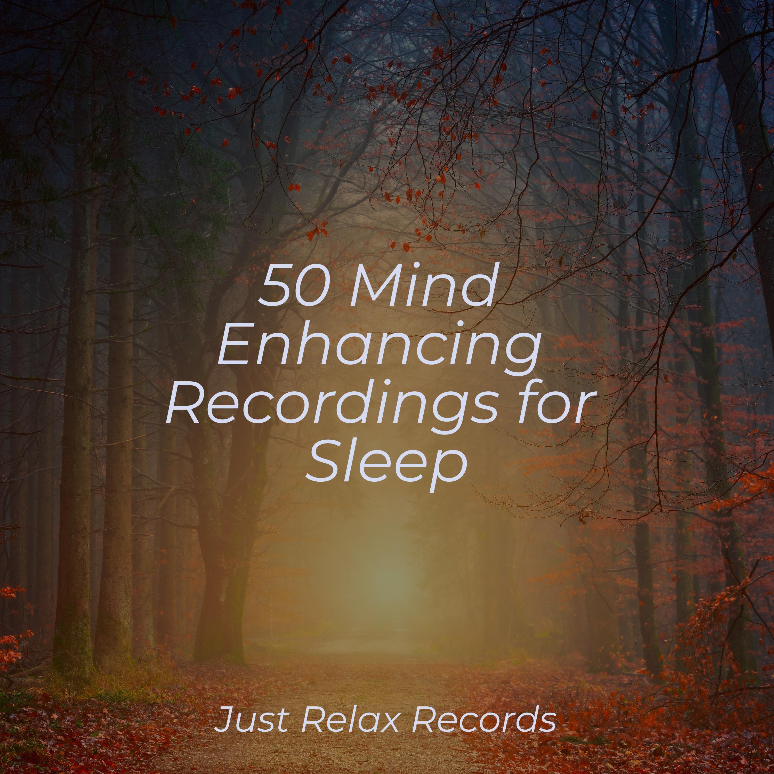 Melodic Fantasia Frenzy - Lounge Music Café/Binaural Beats Brainwave ...