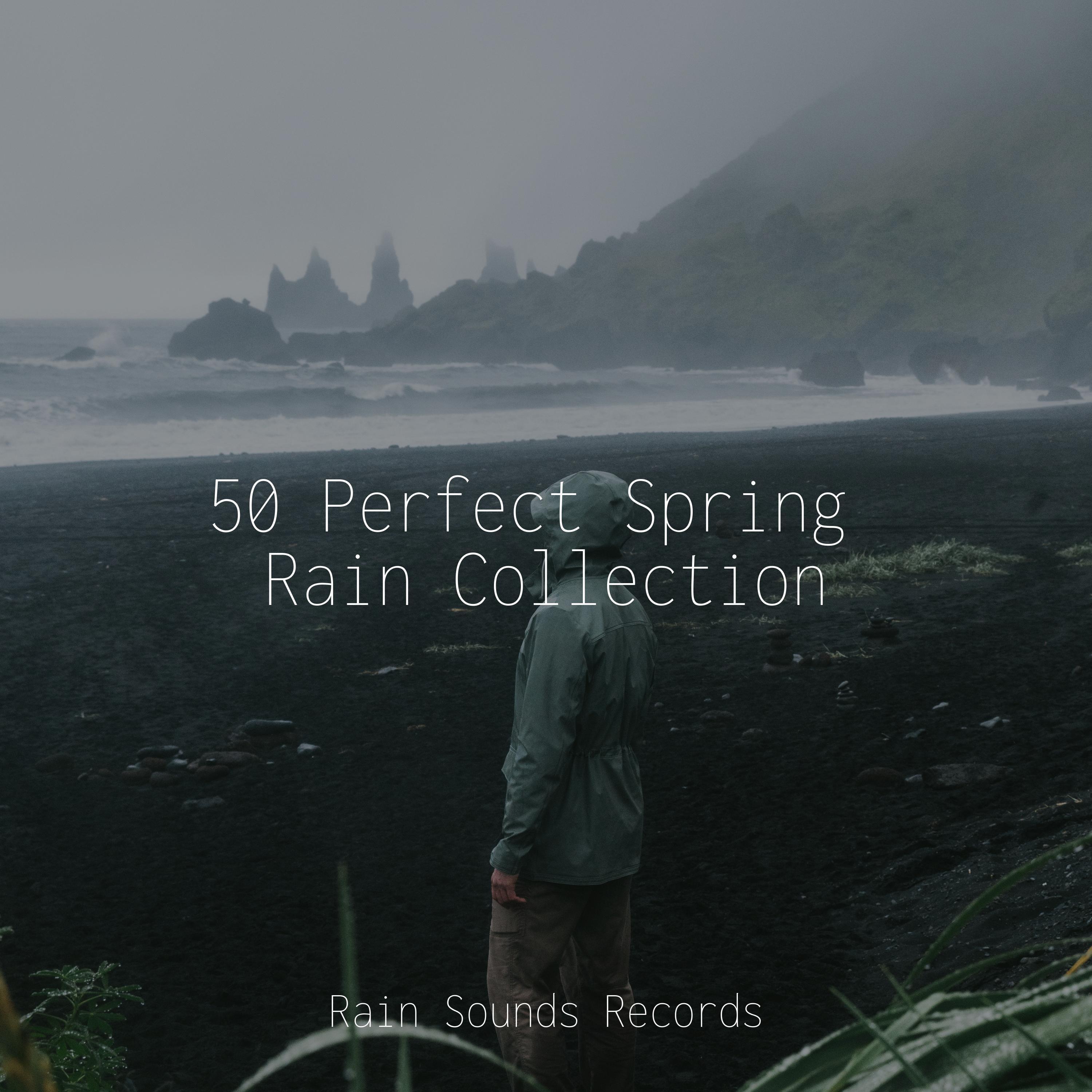 50 Perfect Spring Rain Collection - Canciones De Cuna - 专辑 - 网易云音乐