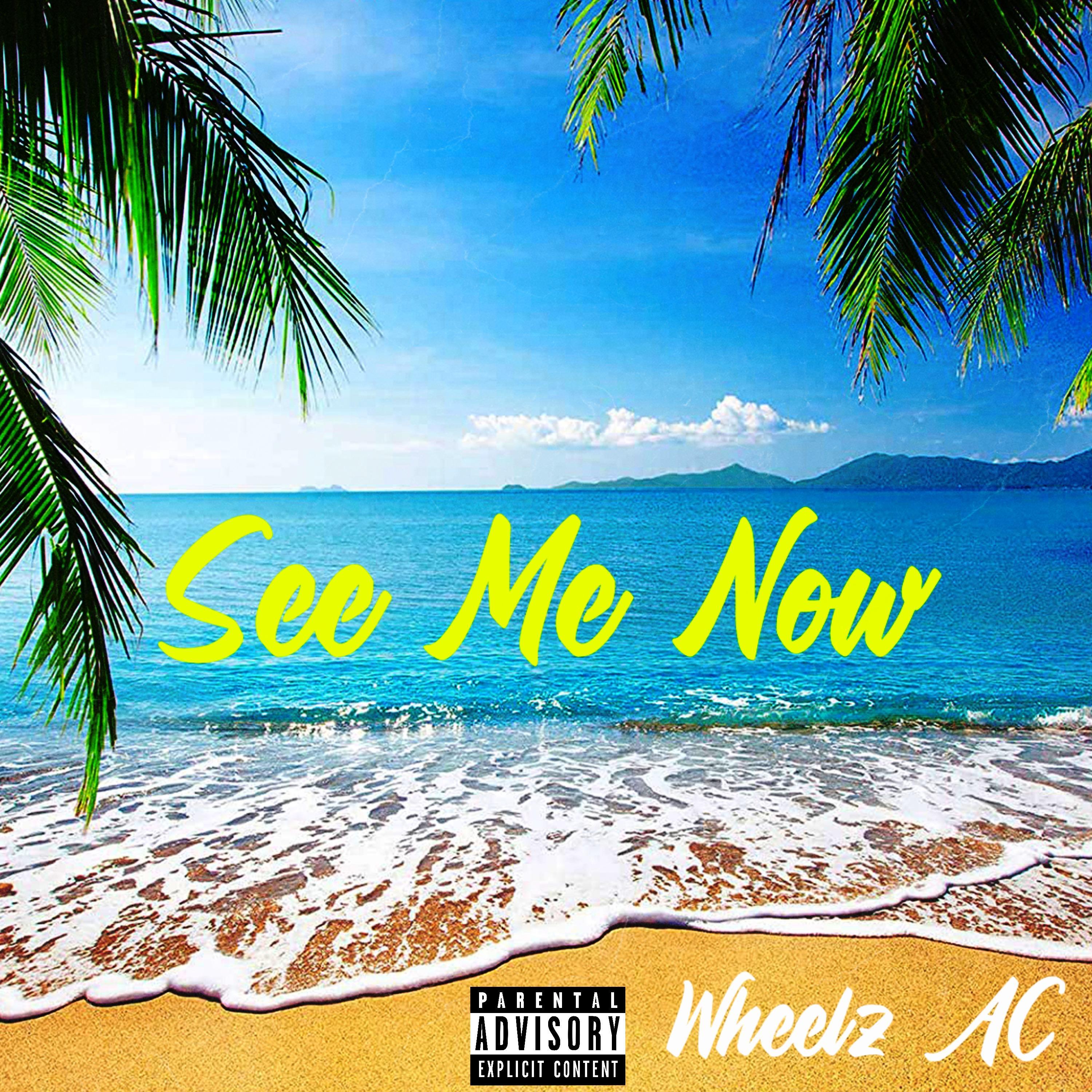 See Me Now - Wheelz AC - 专辑 - 网易云音乐