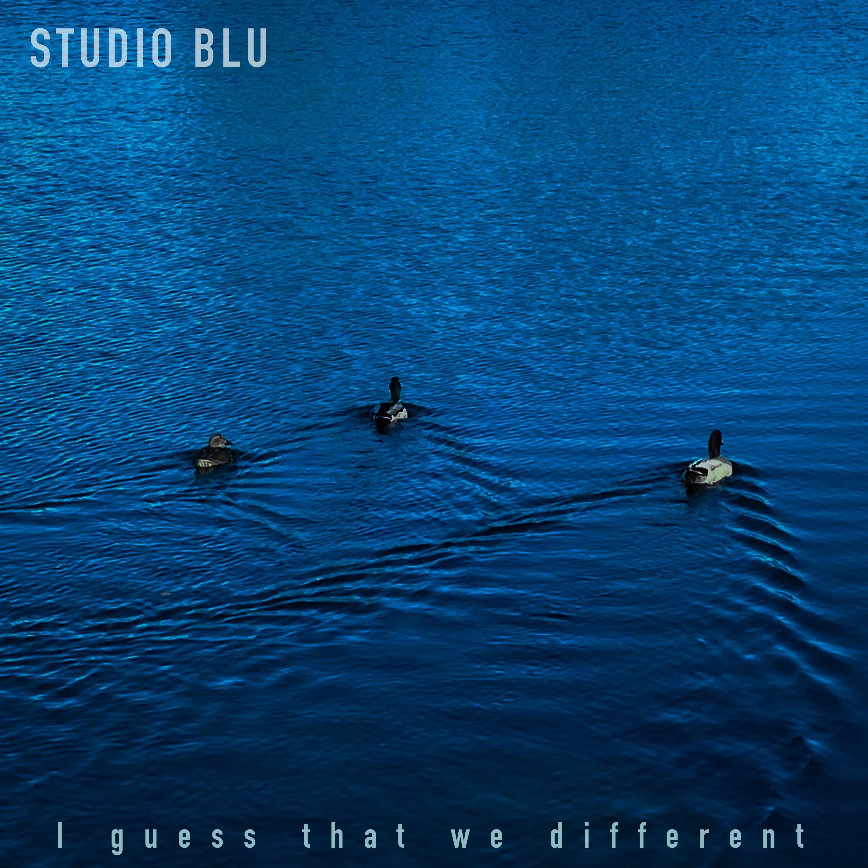 I guess that we different - Studio Blu - 专辑 - 网易云音乐