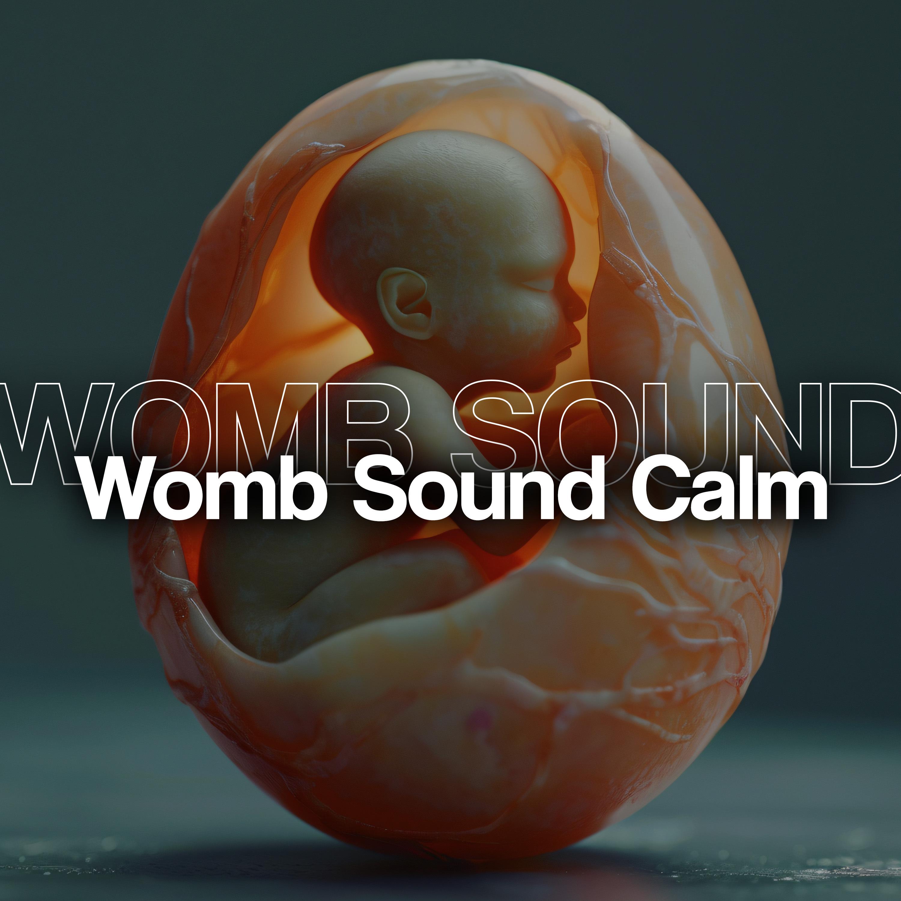 Womb Sound with Pulse - Womb Sound - 单曲 - 网易云音乐