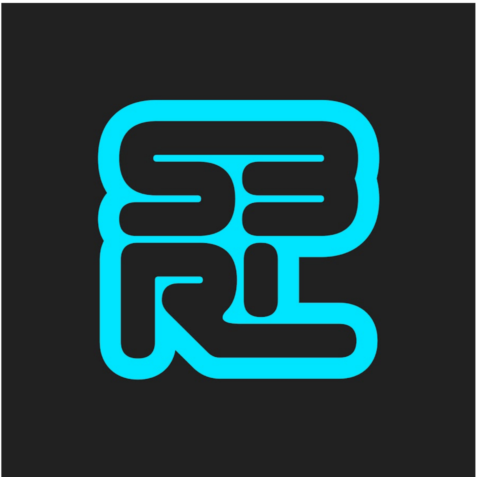 S3RL - 歌手 - 网易云音乐