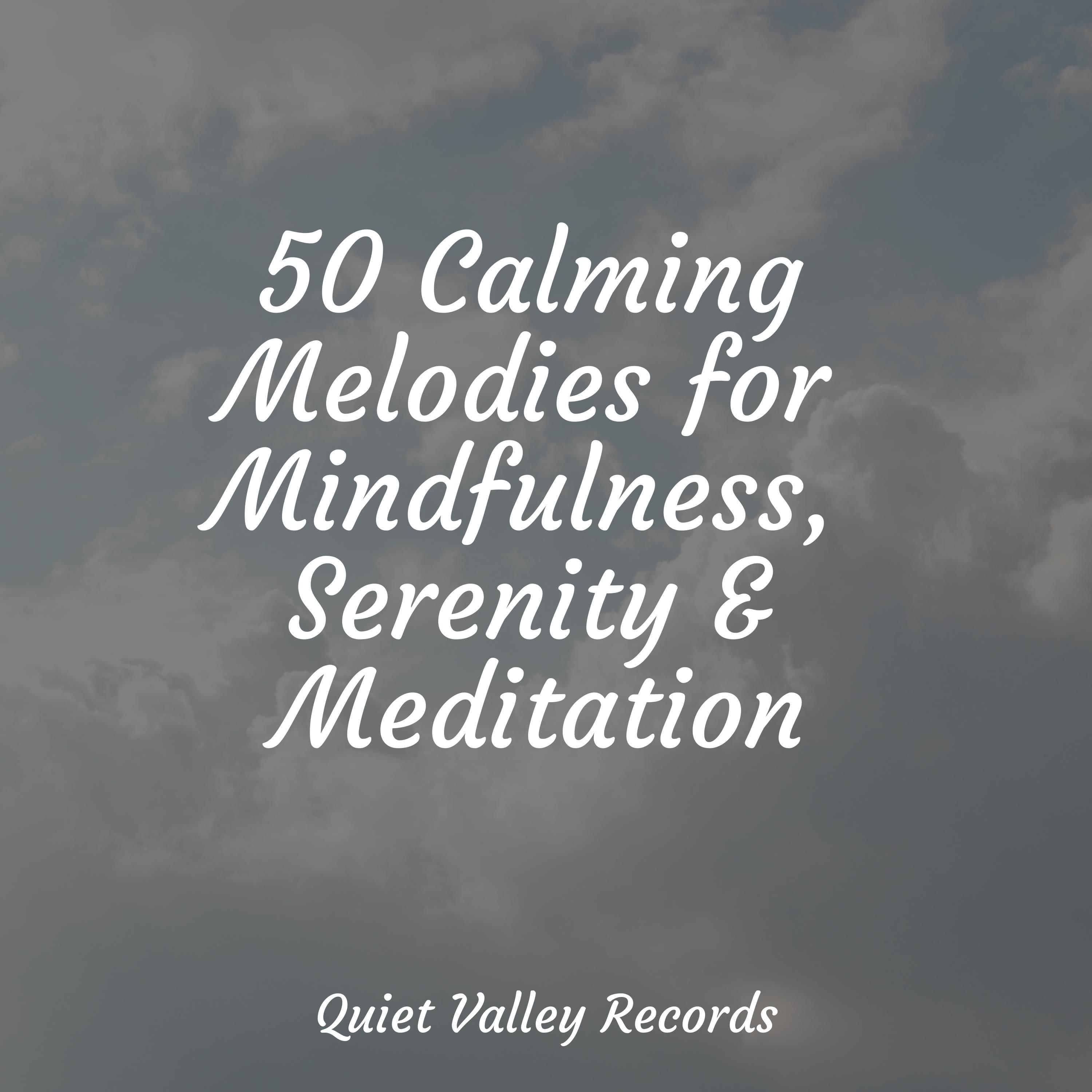 50 Calming Melodies for Mindfulness, Serenity & Meditation - Nature ...