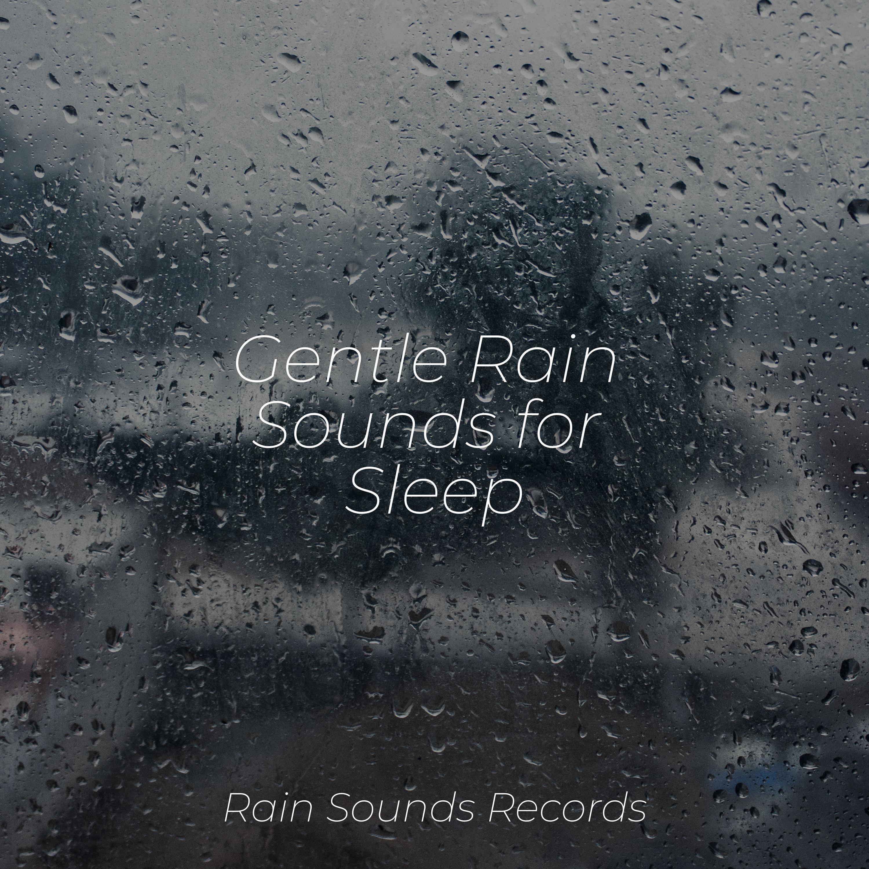 Rustling Leaves' Rhapsody - Musica Romantica/Nature Sound Series/Ocean ...