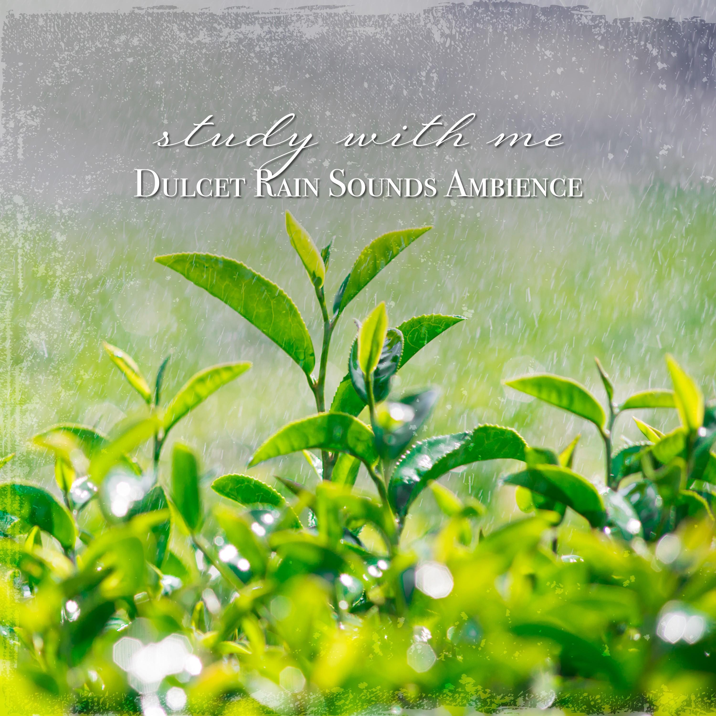 Dulcet Rain Sounds Ambience, Pt. 11 - Sebastian Riegl - 单曲 - 网易云音乐