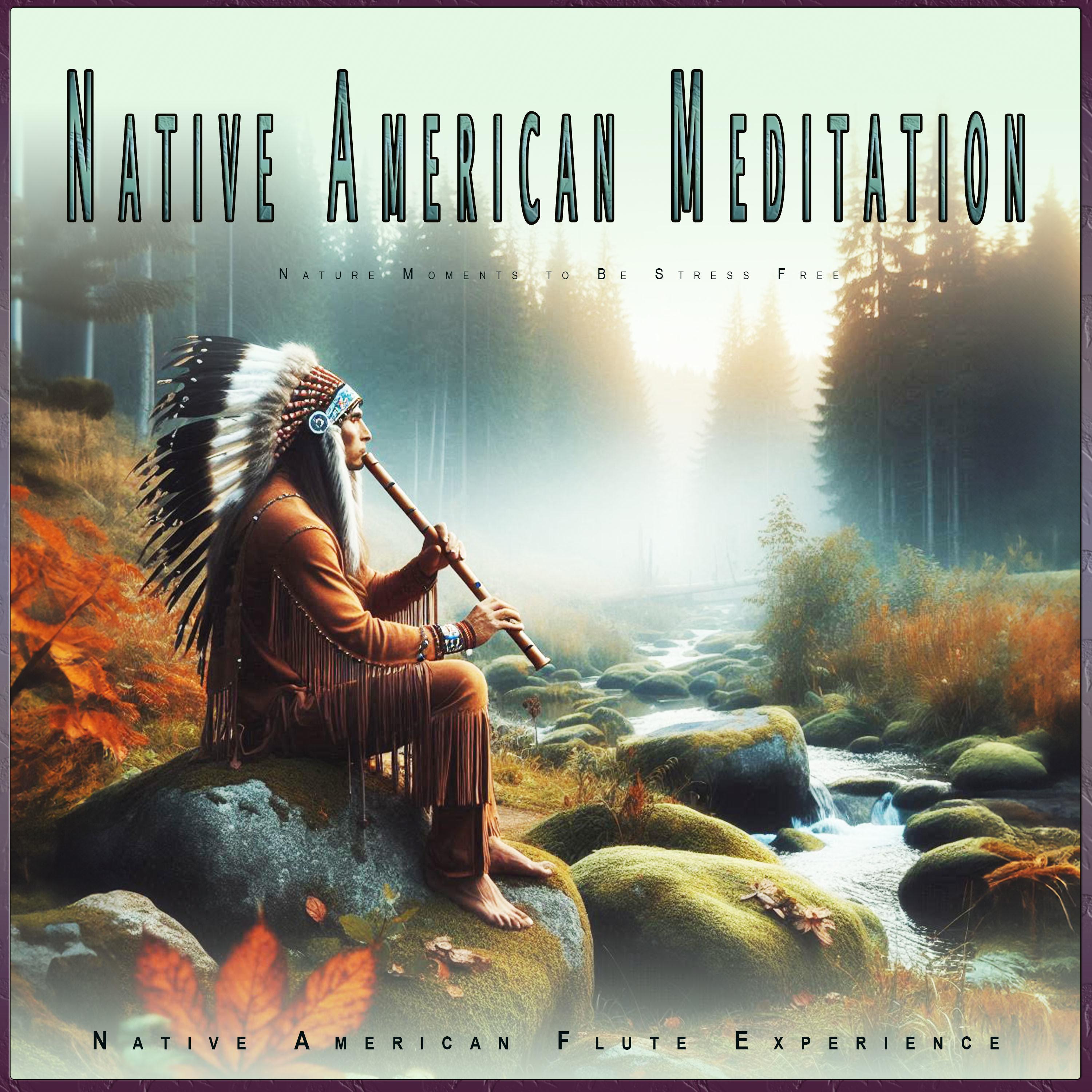 Brain Power Stimulation - Native American Flute Experience/Aveda Blue ...