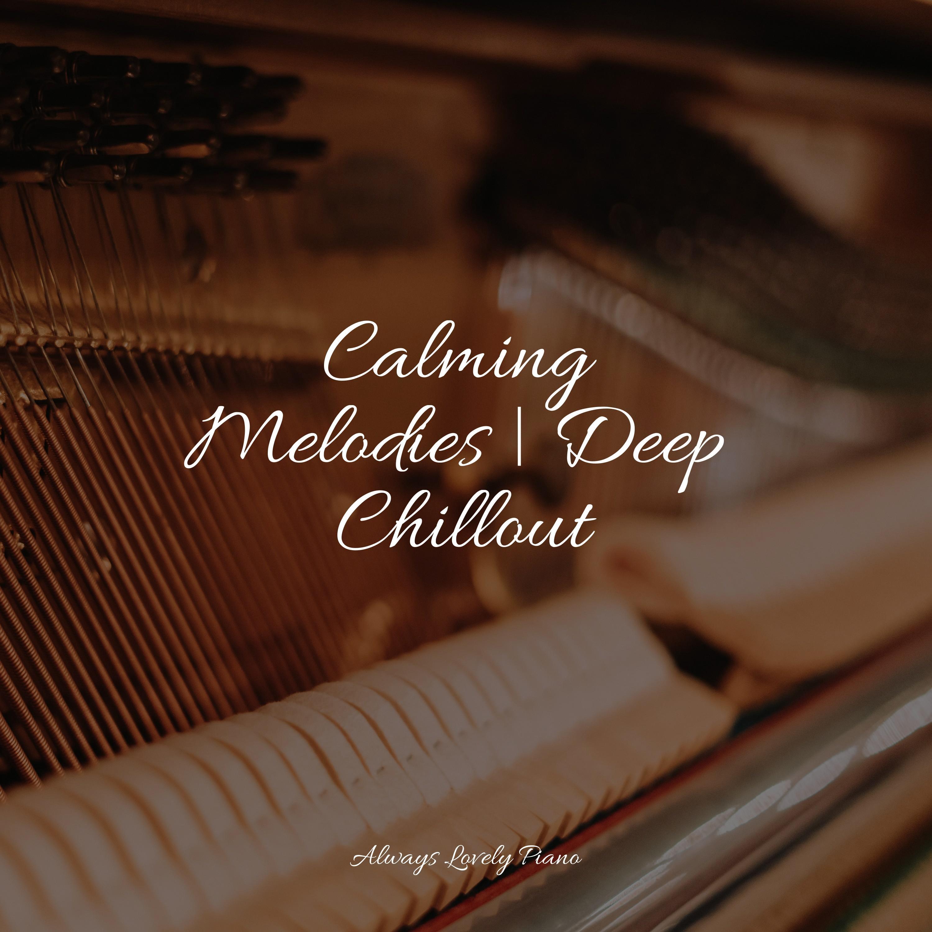 Calming Melodies | Deep Chillout - Relajación Piano - 专辑 - 网易云音乐