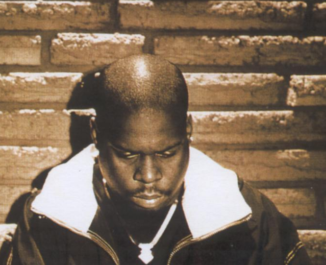 King Tee - 歌手 - 网易云音乐