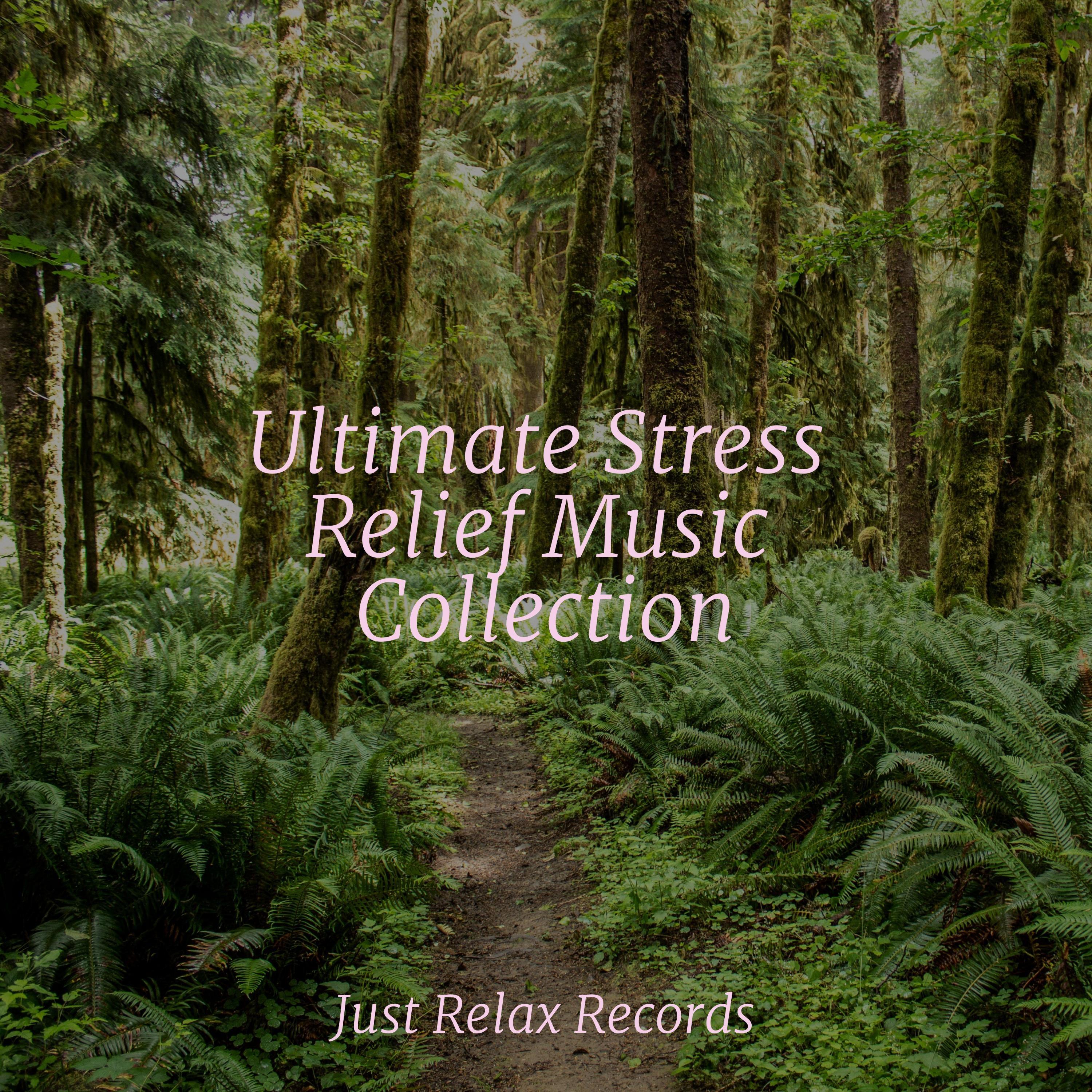 Ultimate Stress Relief Music Collection - Reiki Music - 专辑 - 网易云音乐