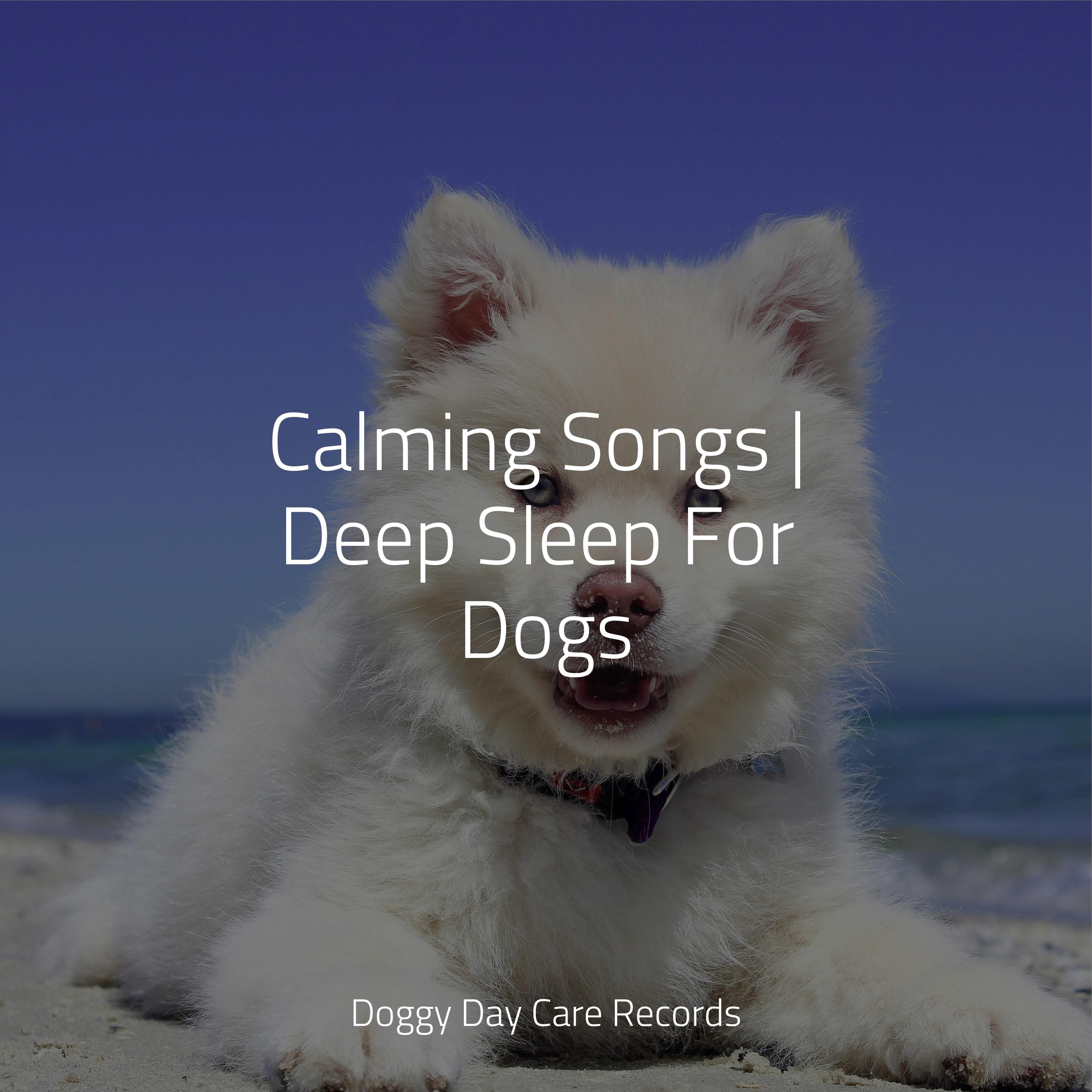 Calm Down - Sleeping Music For Dogs/Music for Calming Dogs/Jazz Music ...