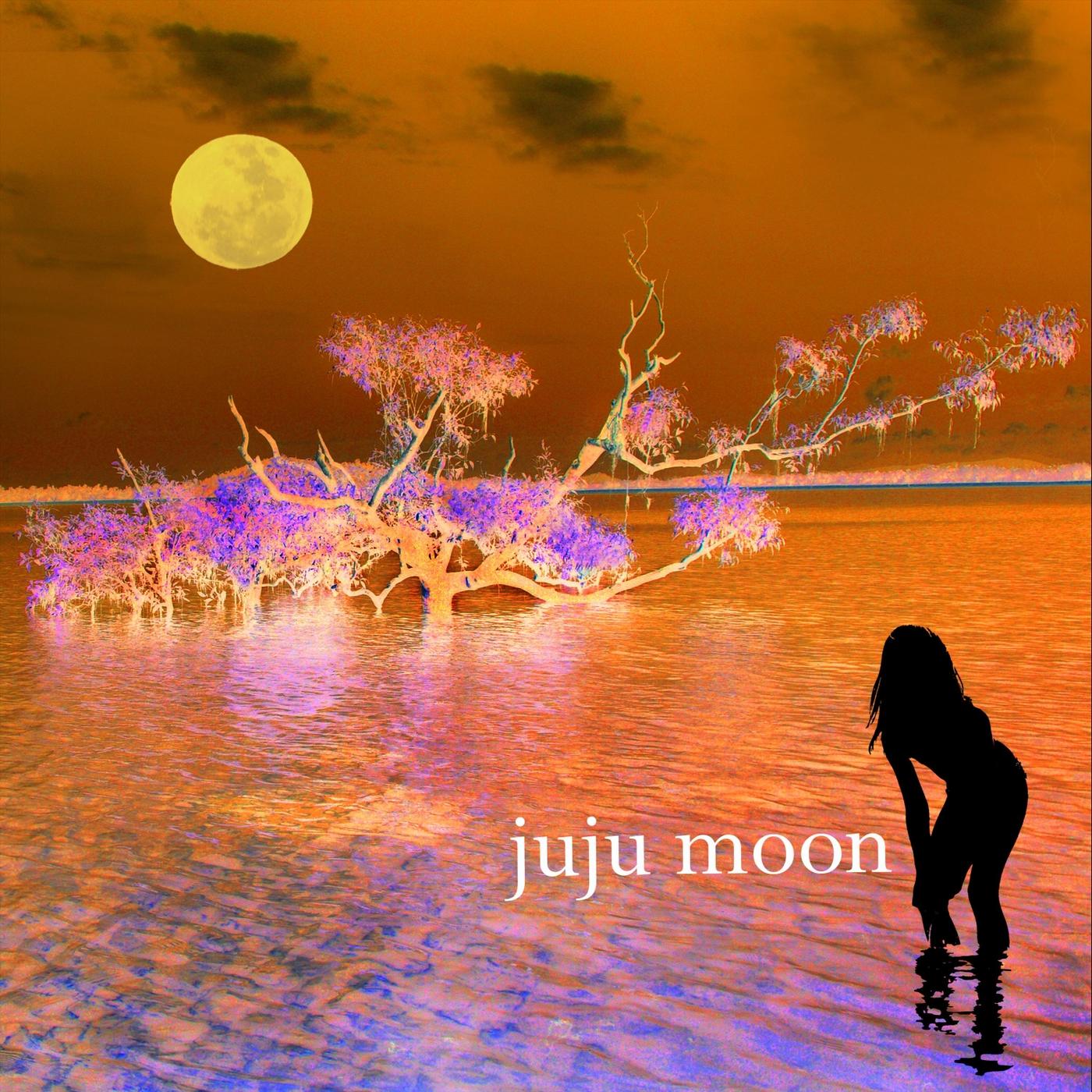 Juju Moon - Juju Moon - 专辑 - 网易云音乐