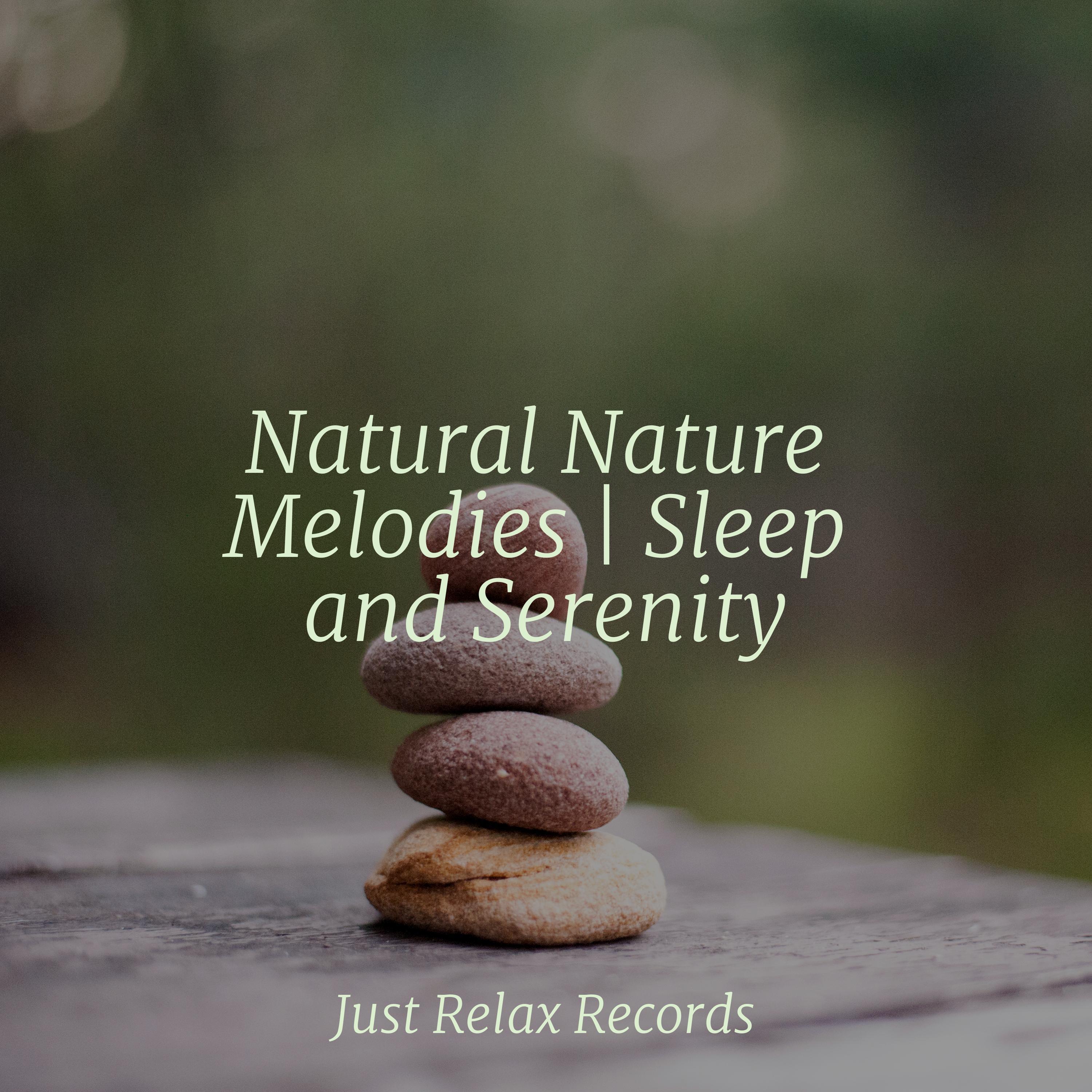 Natural Nature Melodies | Sleep and Serenity - Sleepy Night Music - 专辑 ...