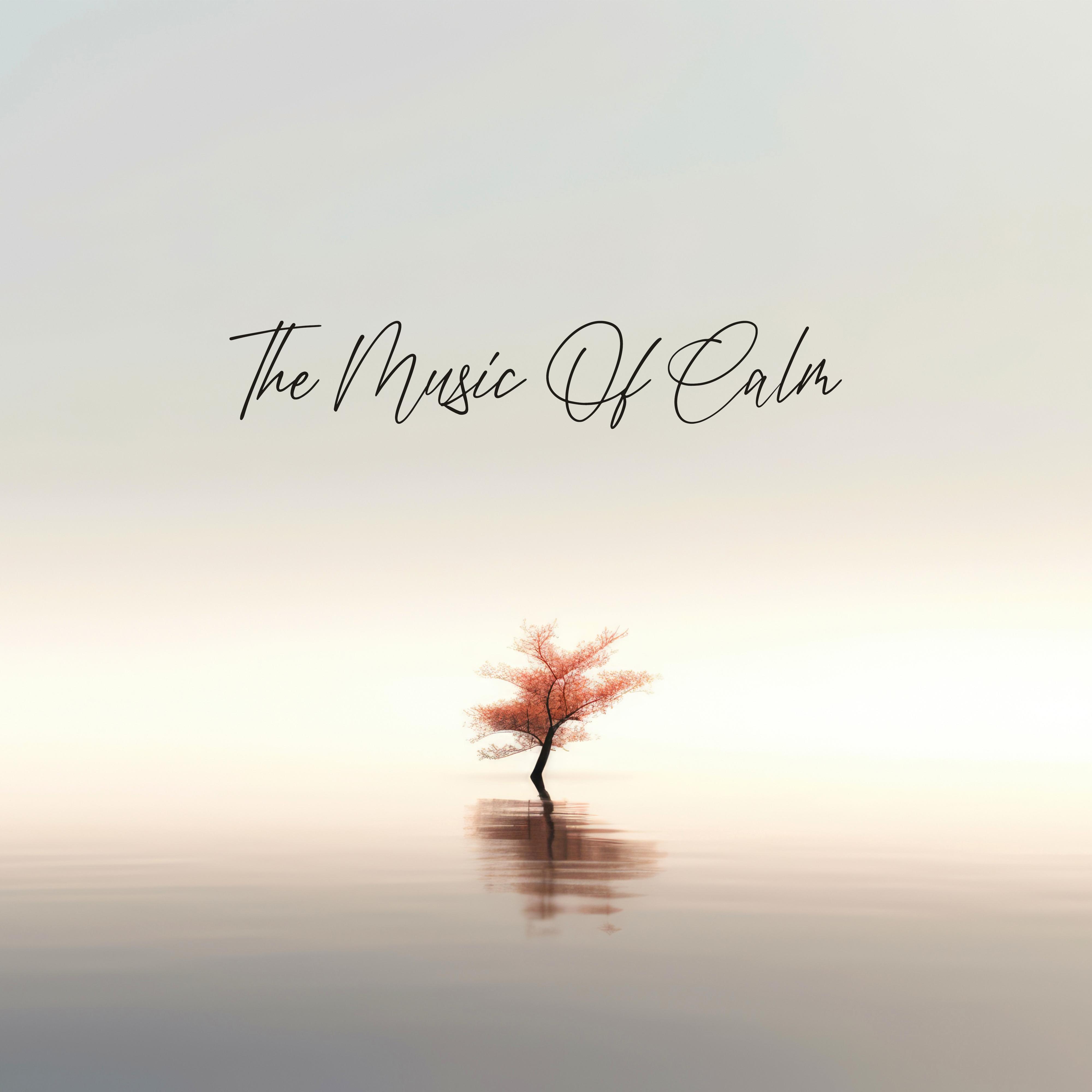 The Music Of Calm - Natural Medicine For Anxiety, Stress, Tension ...
