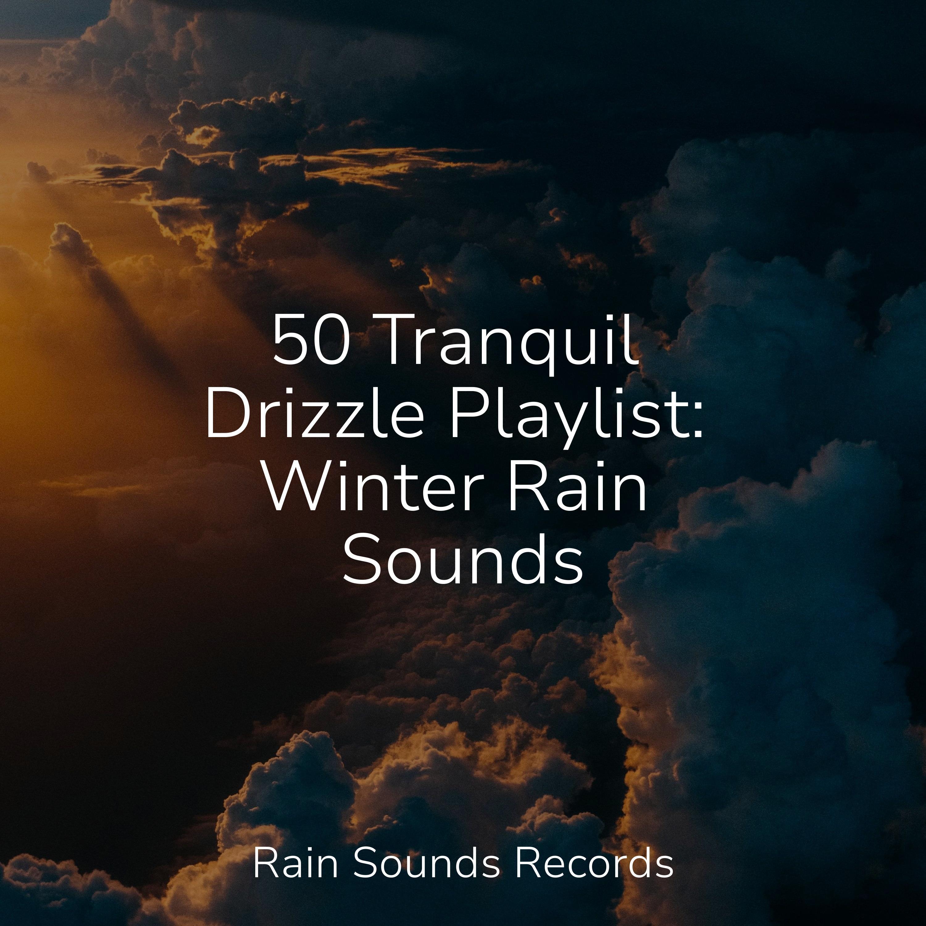 50 Tranquil Drizzle Playlist: Winter Rain Sounds - Weather Factory - 专辑 ...