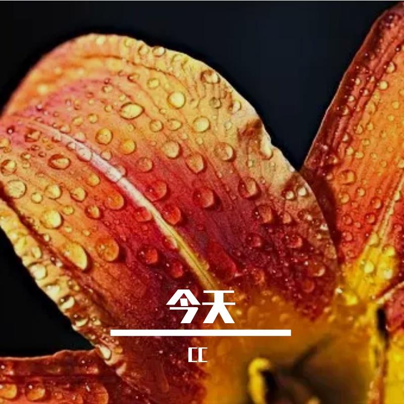 FDSFSD - CC - 单曲 - 网易云音乐