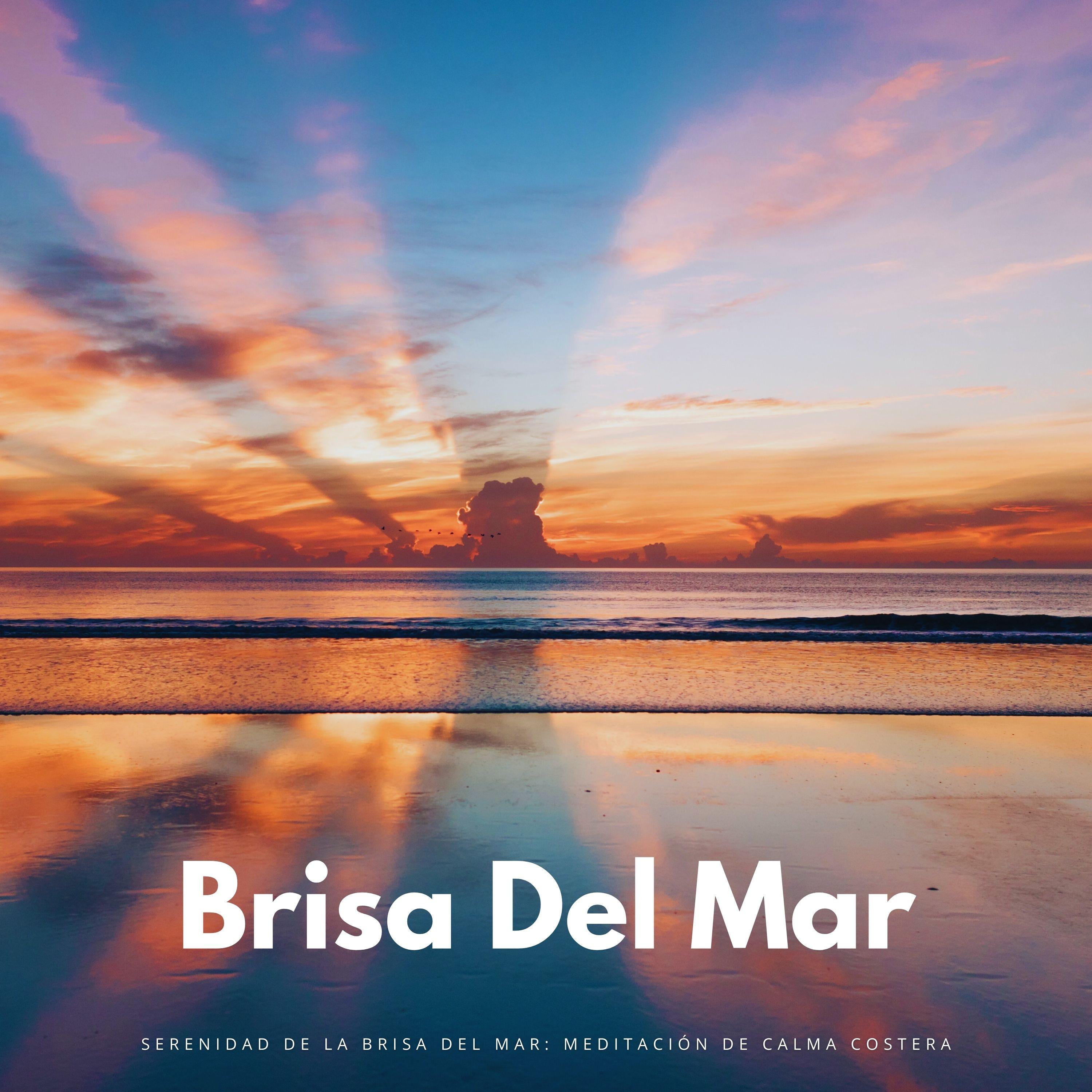 Oasis Sereno De La Brisa Marina - Olas del Mar/Meditacion Budista ...
