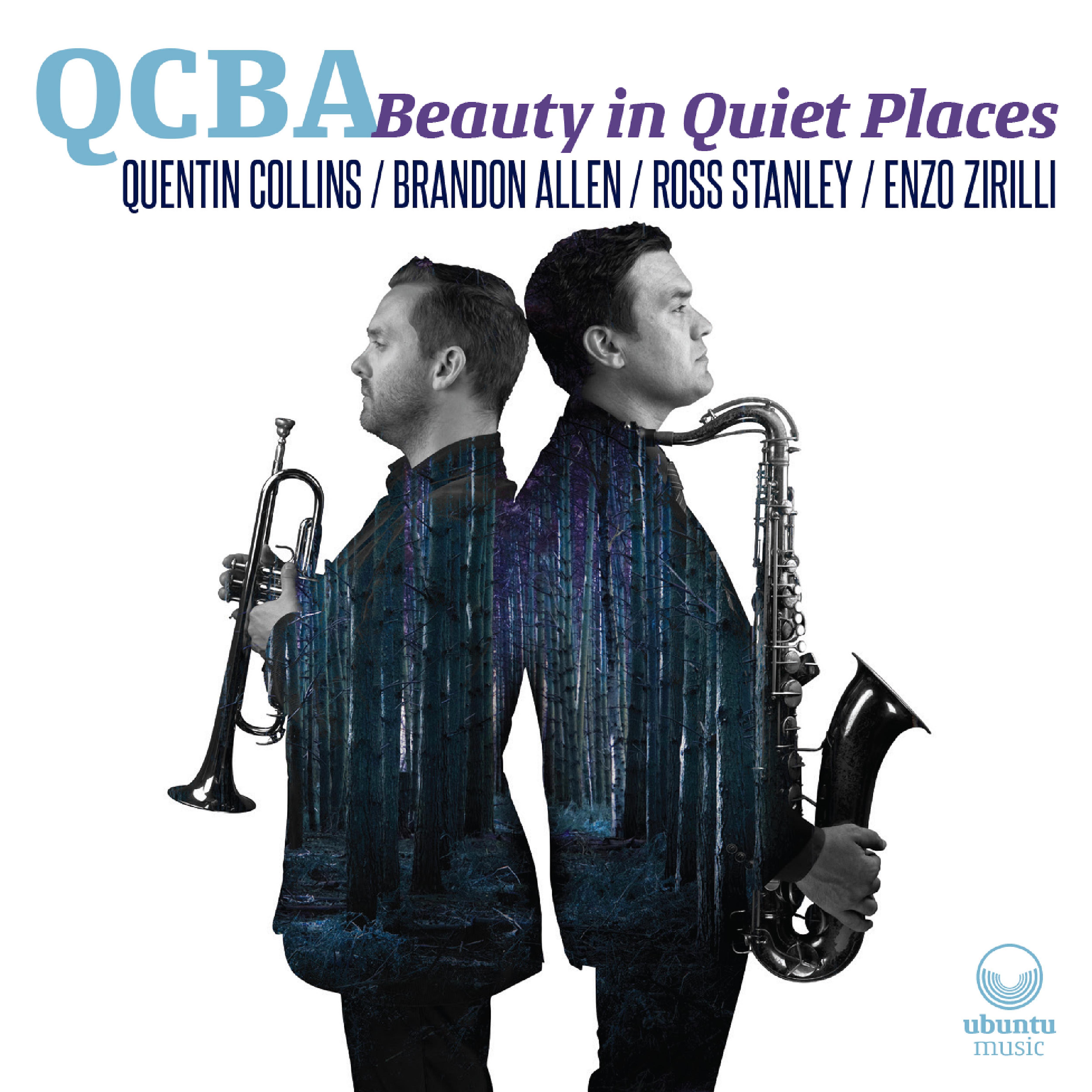 Beauty in Quiet Places - Quentin Collins - 专辑 - 网易云音乐