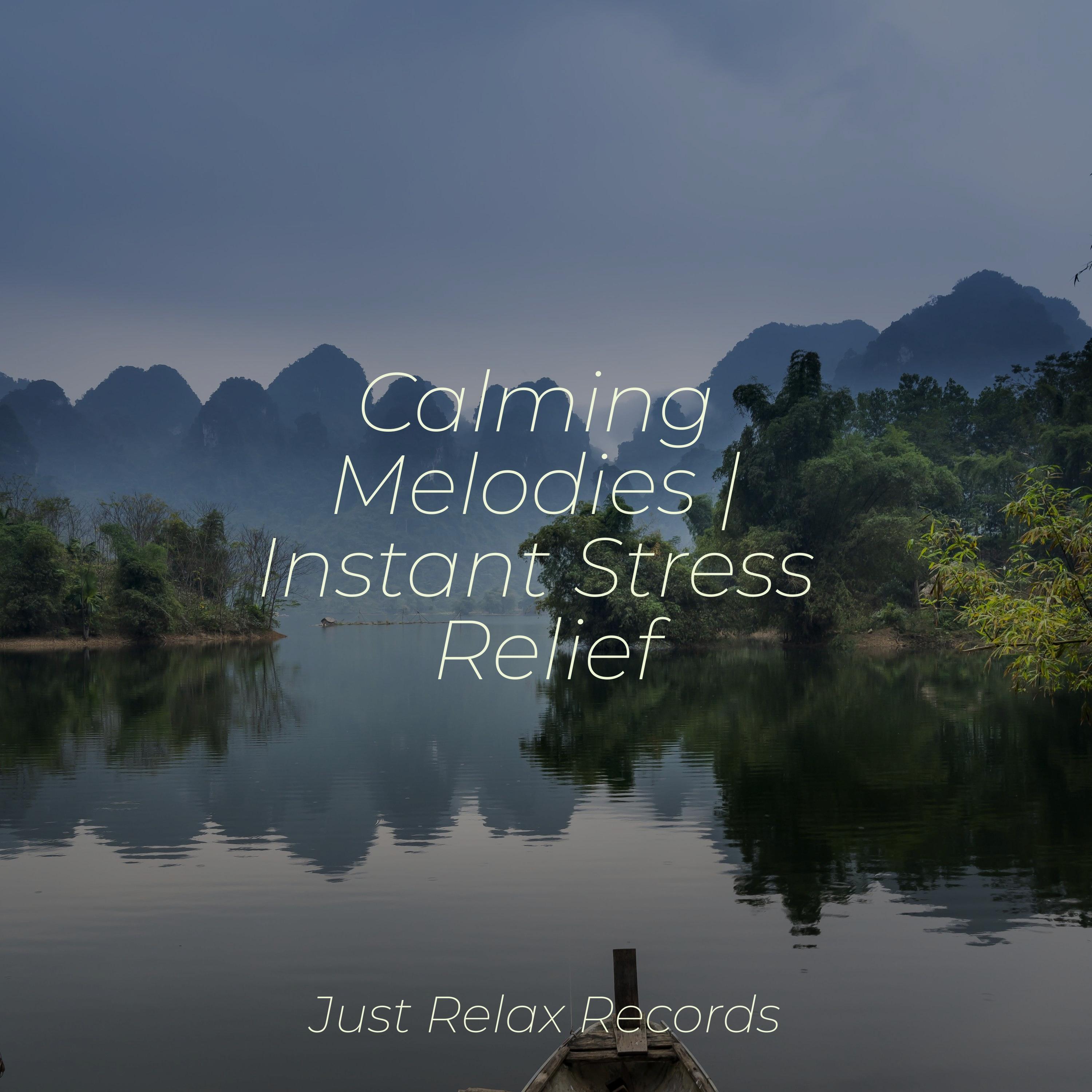 Calming Melodies | Instant Stress Relief - Relajacion Del Mar - 专辑 - 网易云音乐