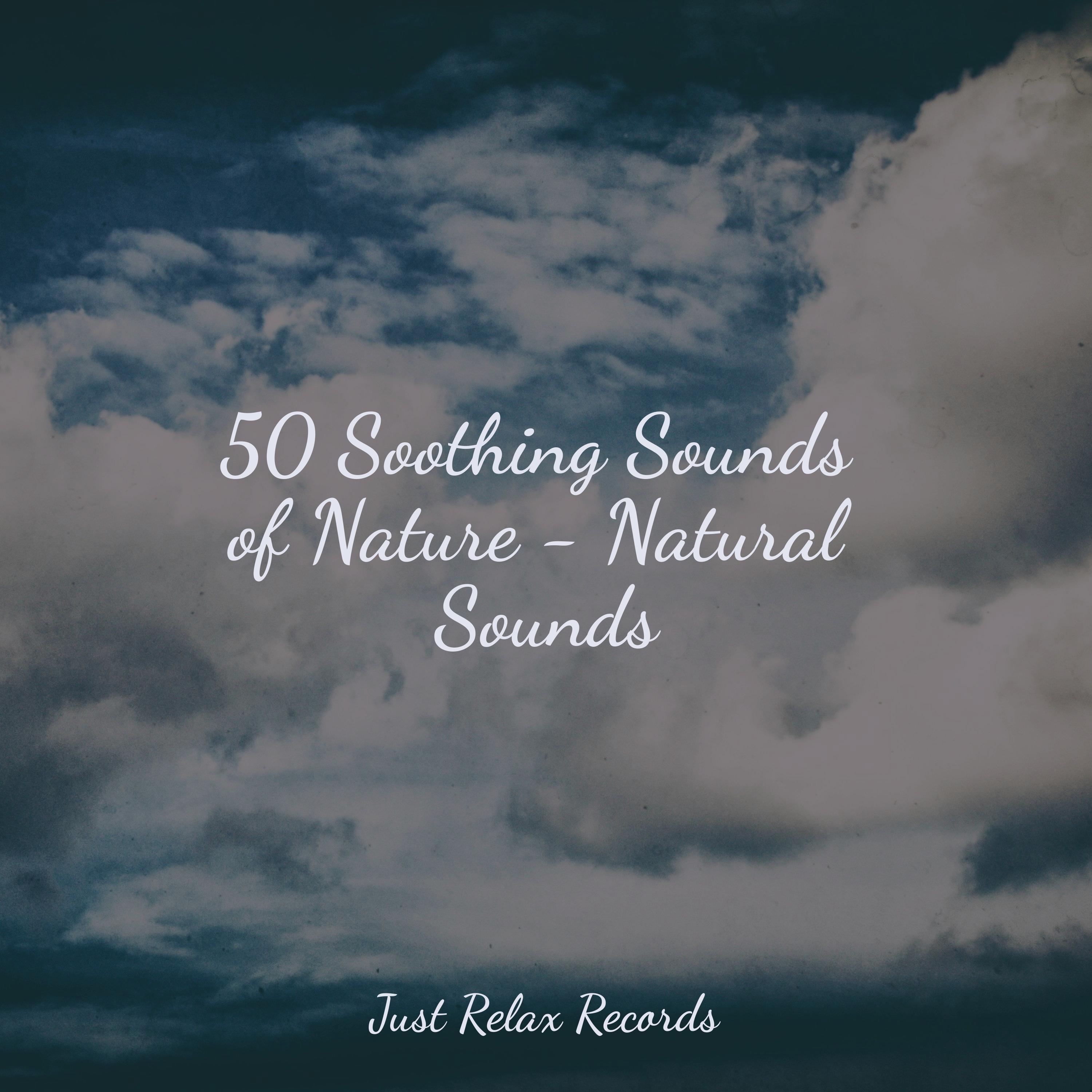 50 Soothing Sounds of Nature - Natural Sounds - Yoga Sounds - 专辑 - 网易云音乐