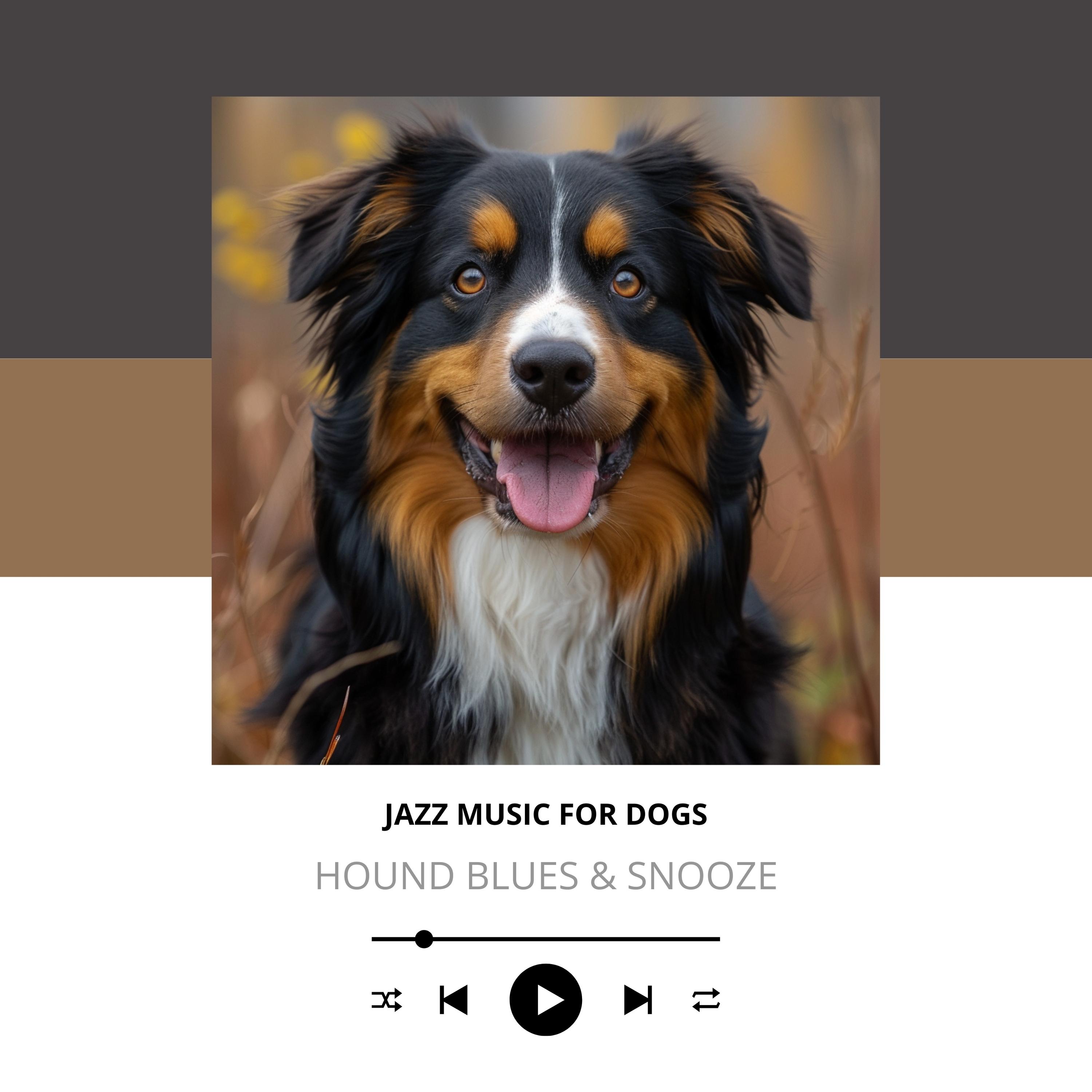 Smooth Dog Grooves - Jazz Music for Dogs - 单曲 - 网易云音乐