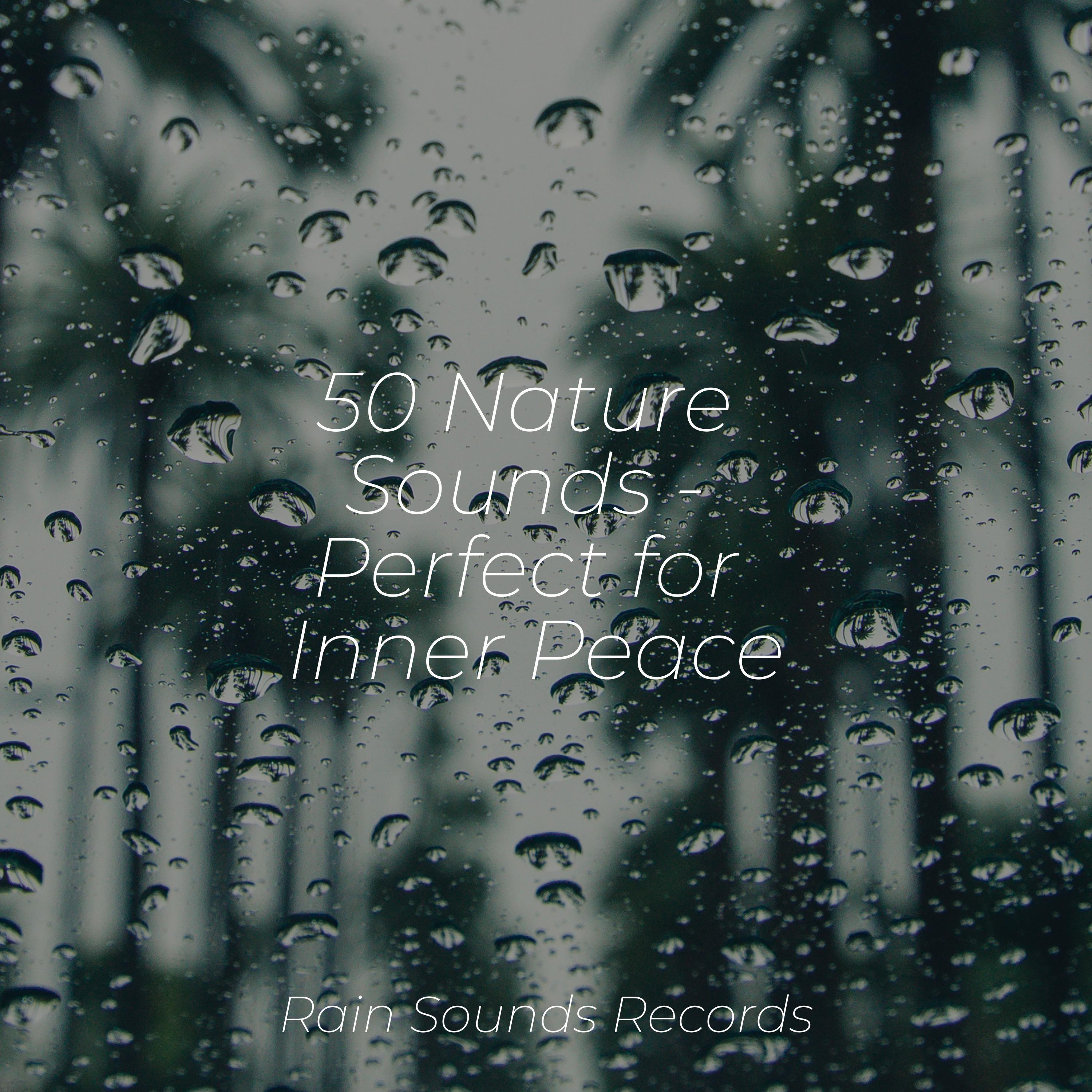 50 Nature Sounds - Perfect for Inner Peace - Sea Waves Sounds - 专辑 - 网易云音乐