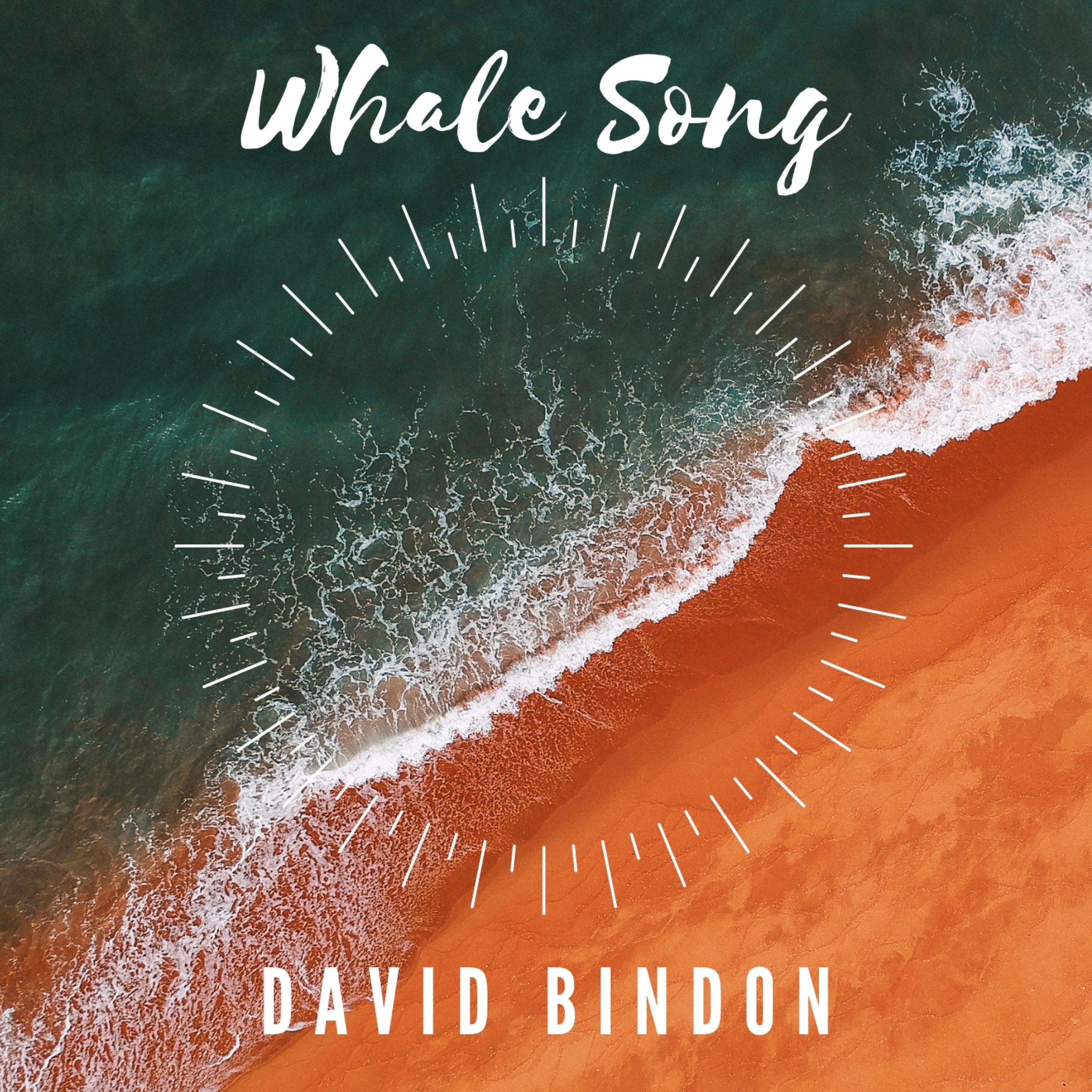 Whale Song - David Bindon - 单曲 - 网易云音乐