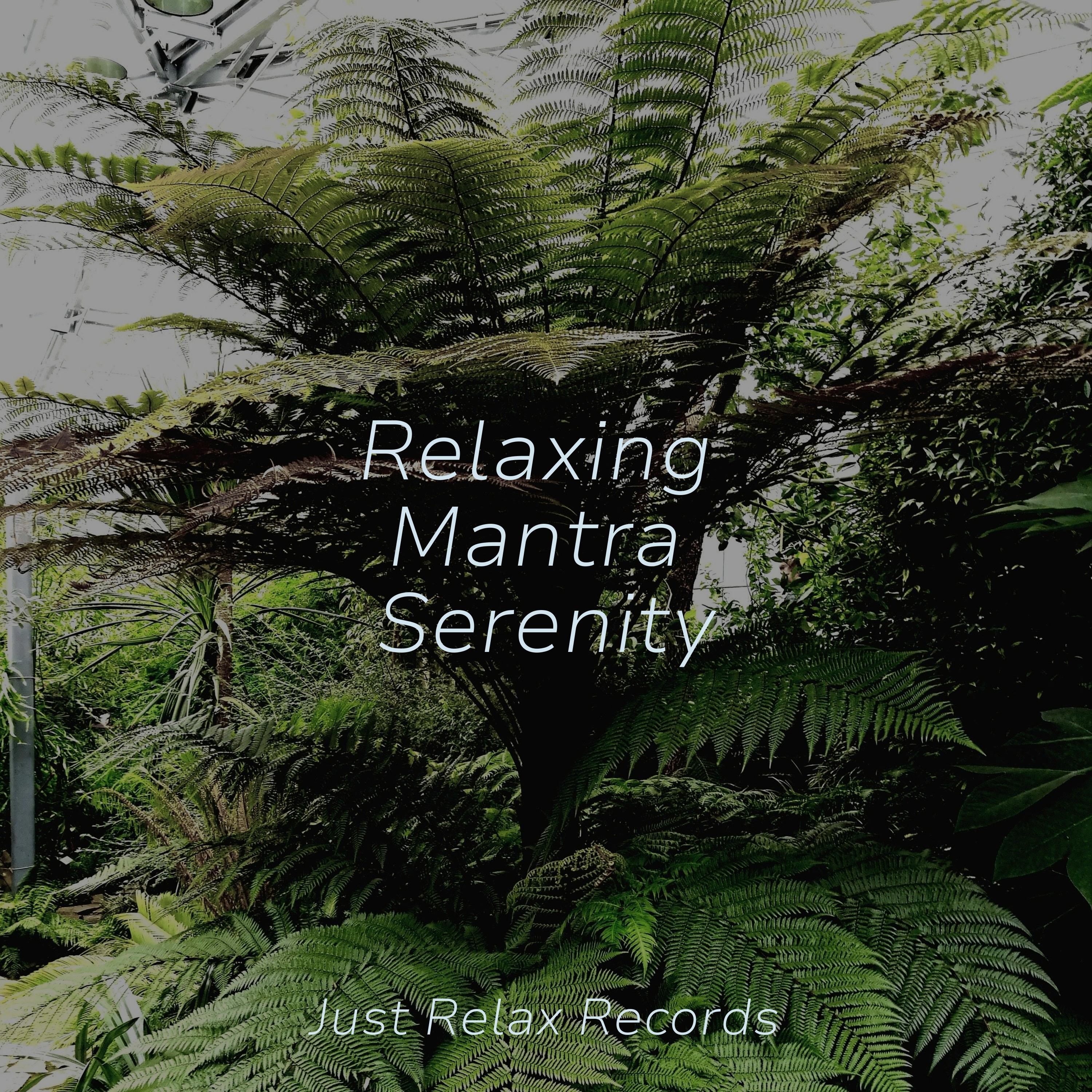 Relaxing Mantra Serenity - Bedtime Baby - 专辑 - 网易云音乐