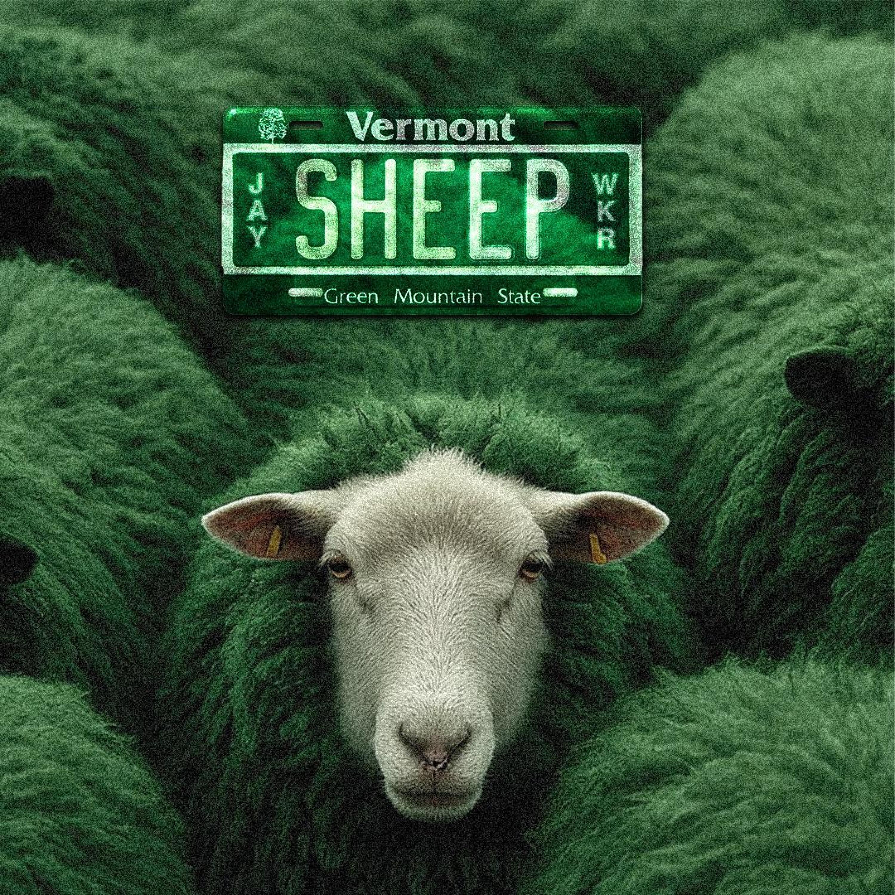 Vermont Sheep - Jay Walker - 单曲 - 网易云音乐