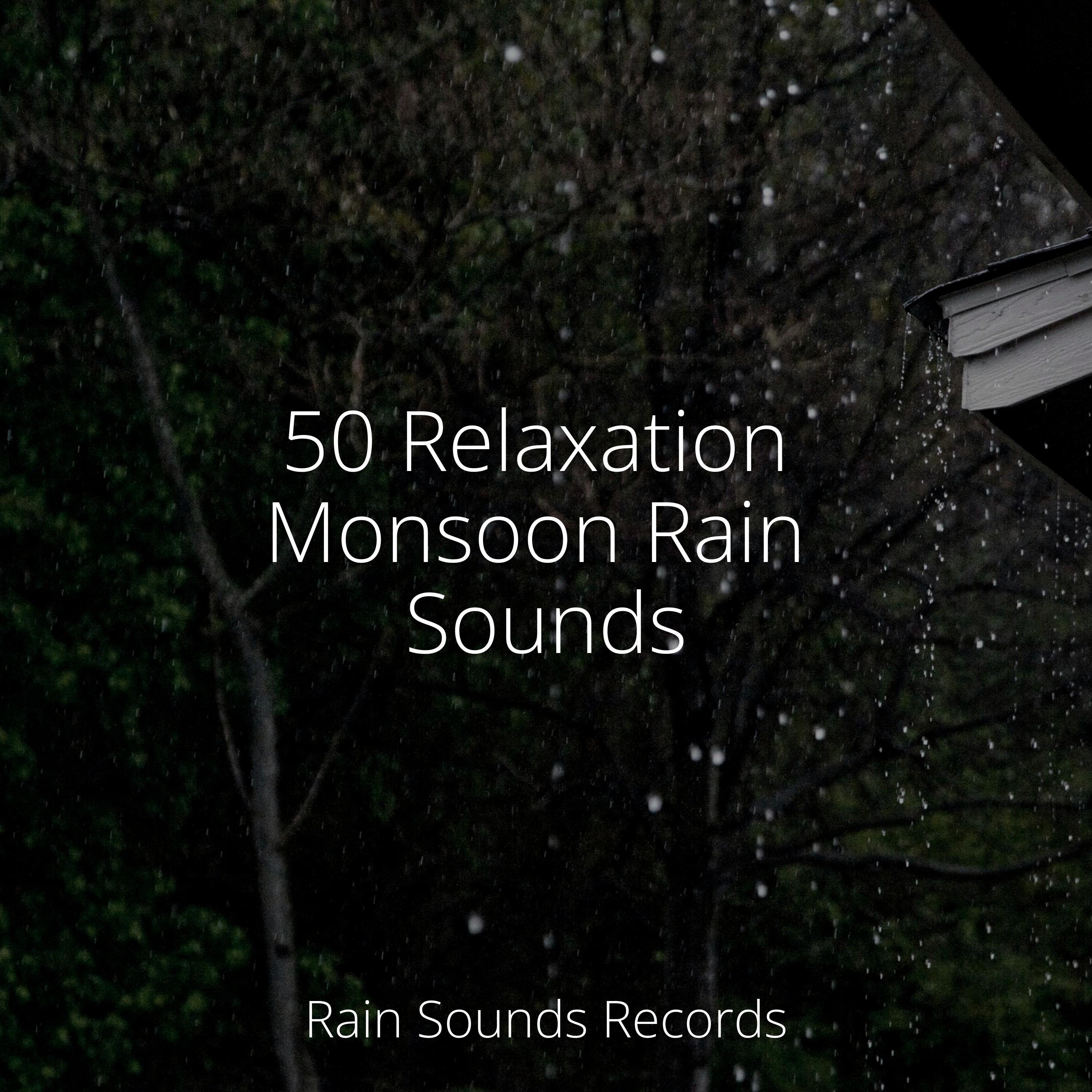 50 Relaxation Monsoon Rain Sounds - Yoga - 专辑 - 网易云音乐