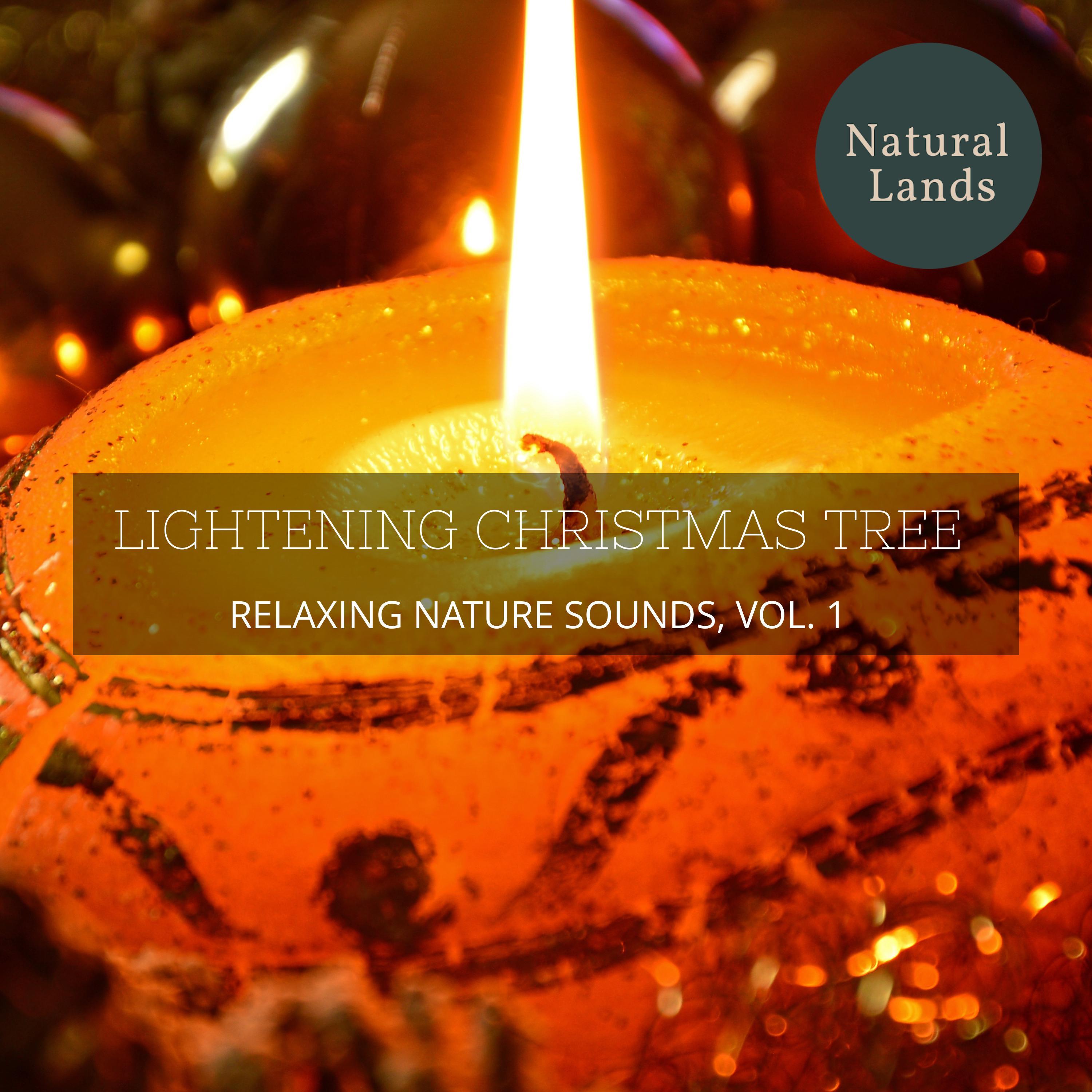 Lightening Christmas Tree - Relaxing Nature Sounds, Vol. 1 - Various ...