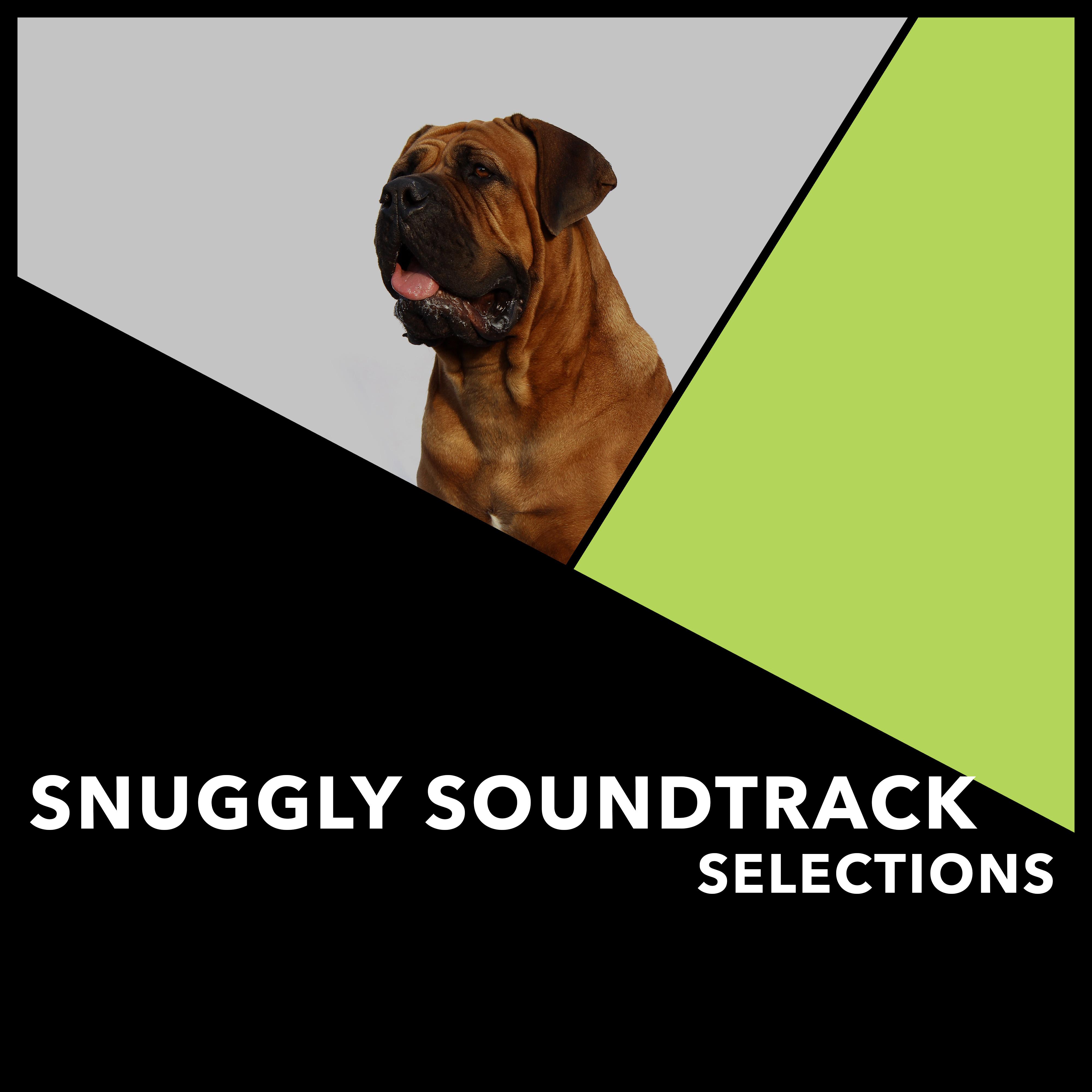 Pitty-Pat Peace - Dogs Music Therapy/Dog's Music/Zen Dog - 单曲 - 网易云音乐