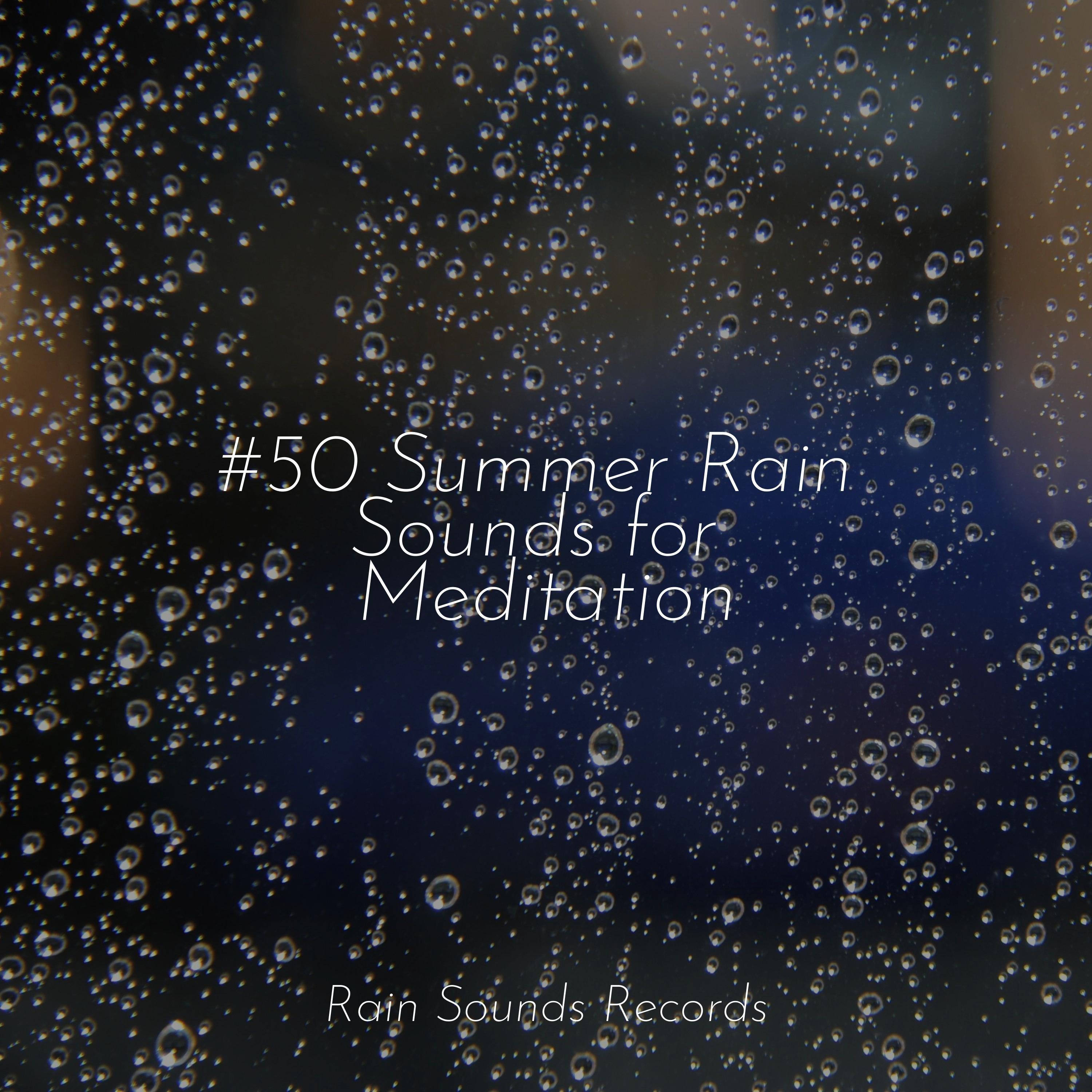 #50 Summer Rain Sounds for Meditation - Nature Sounds - 专辑 - 网易云音乐