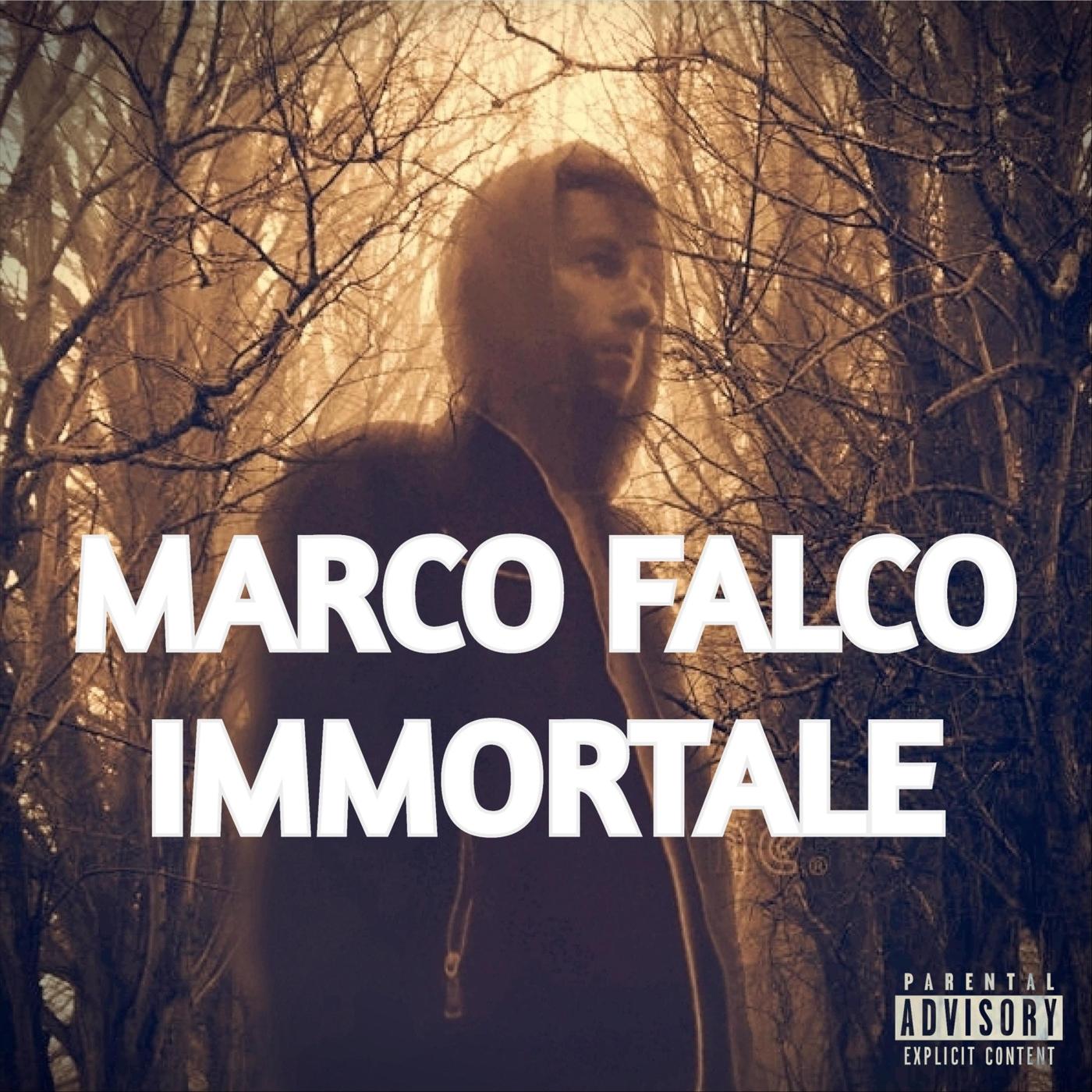 Immortale - Marco Falco - 专辑 - 网易云音乐