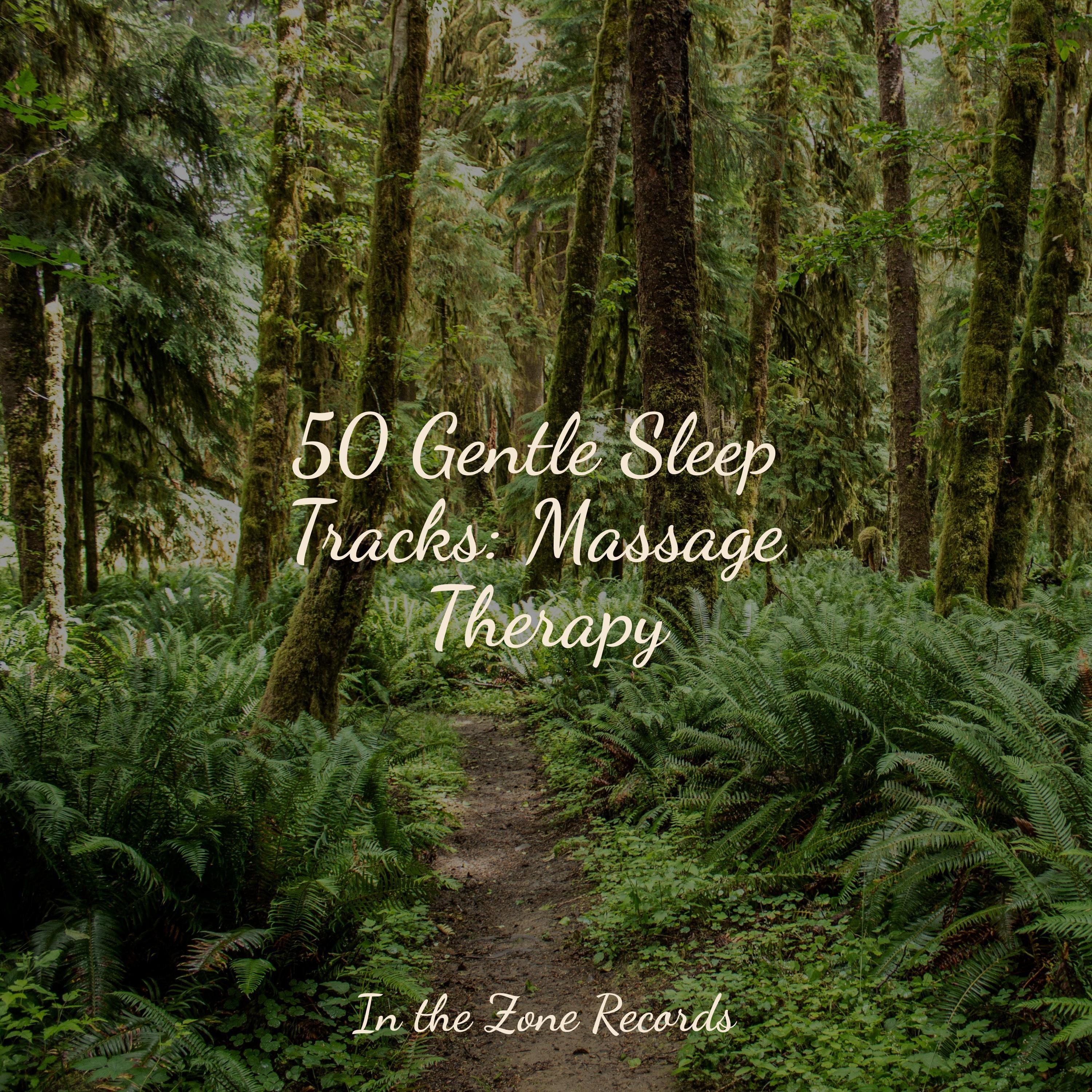 50 Gentle Sleep Tracks: Massage Therapy - Nature Sounds Nature Music ...