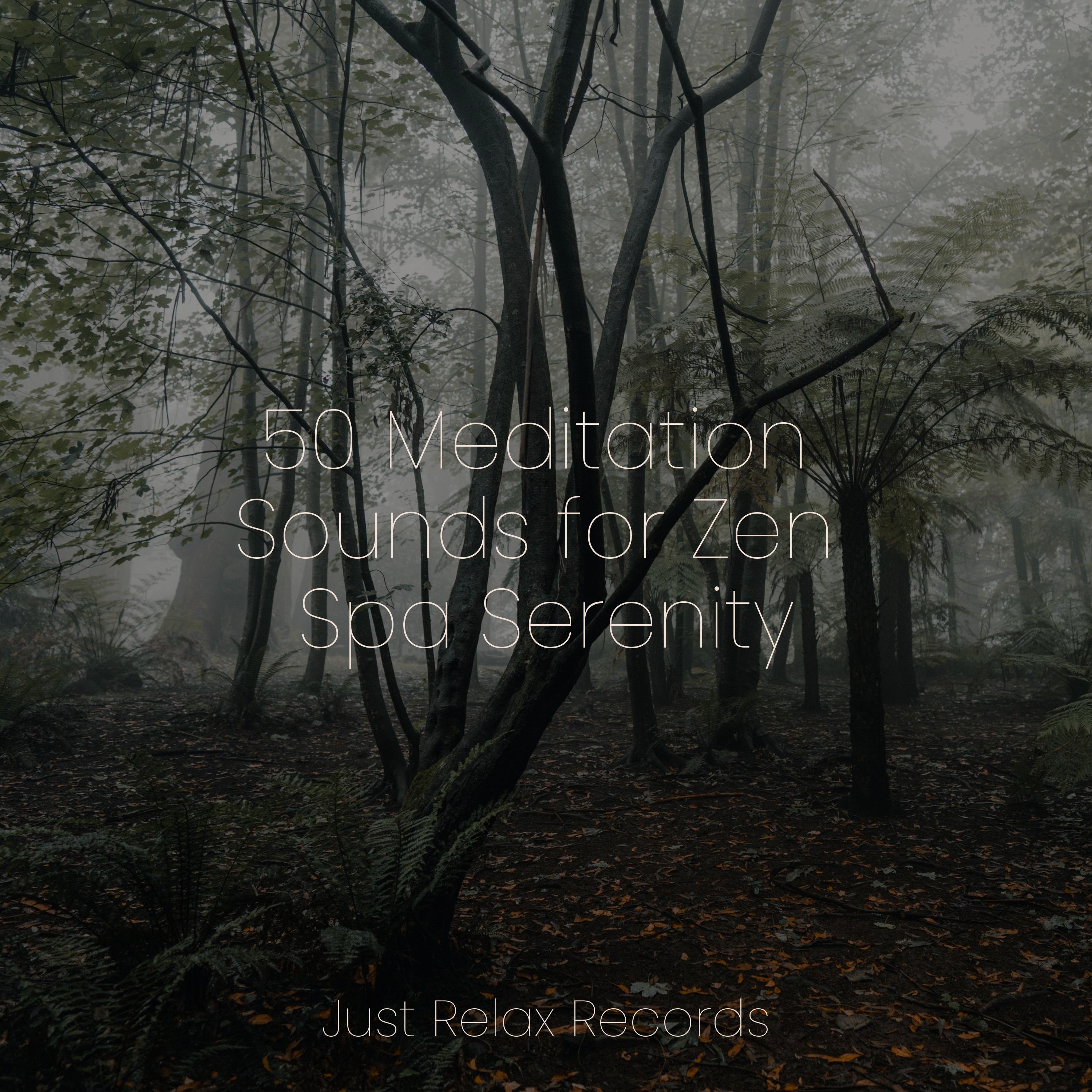 Earth's Rhythmic Evolution - Chakra Balancing Sound Therapy/Relaxing ...