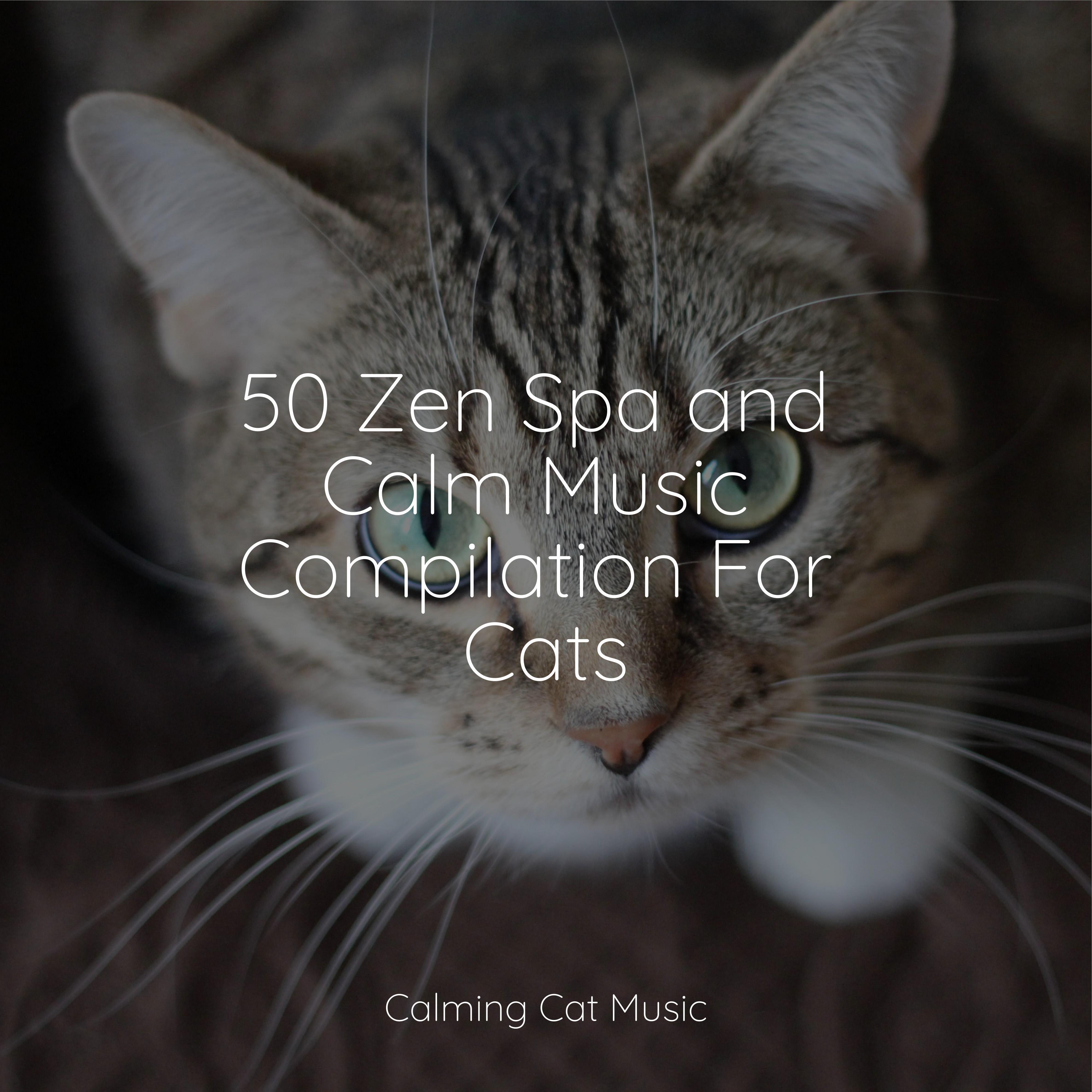O2 - Music for Resting Cats/Music for Relaxing Cats/Music for Cats ...