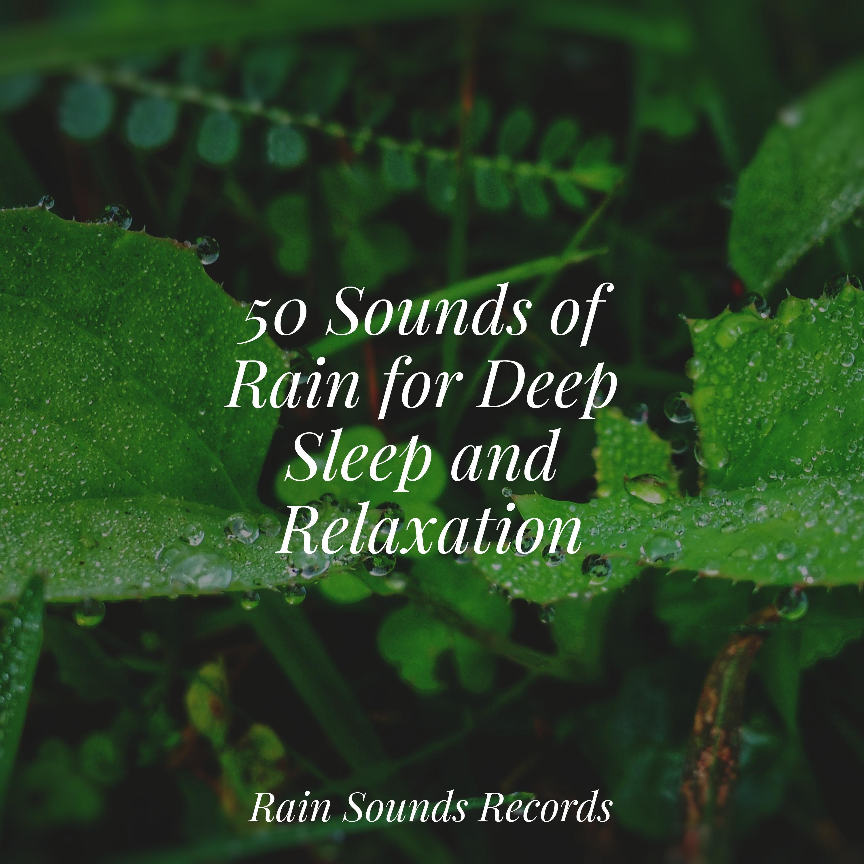 50 Sounds of Rain for Deep Sleep and Relaxation - Meeresrauschen - 专辑 ...