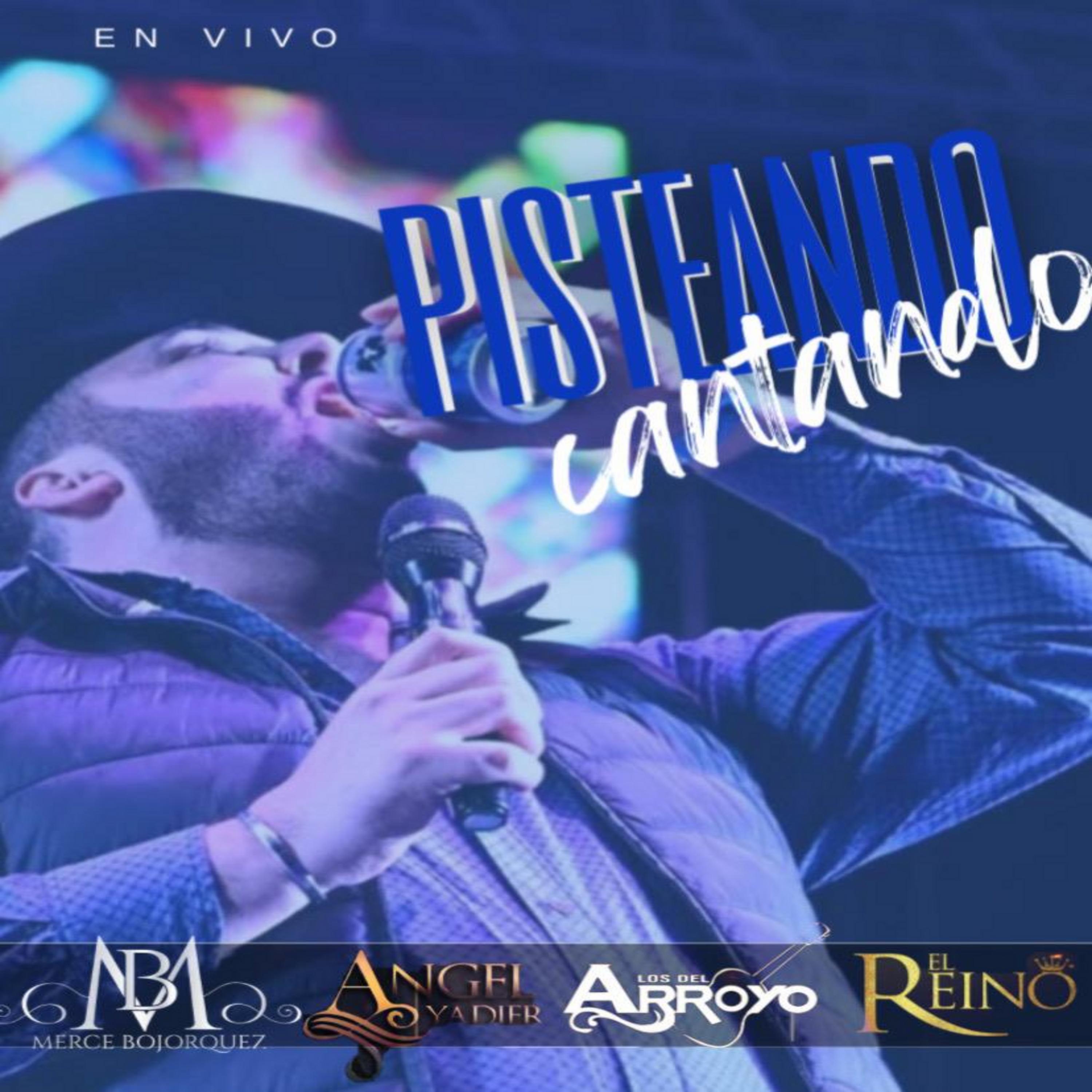 Pisteando y Cantando - Various Artists - 专辑 - 网易云音乐